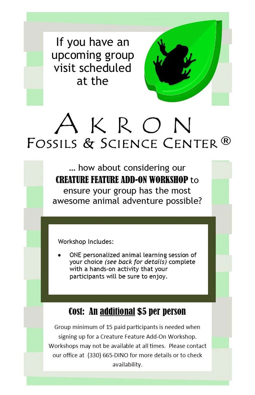 Add-Ons — The Akron Fossils and Science Center