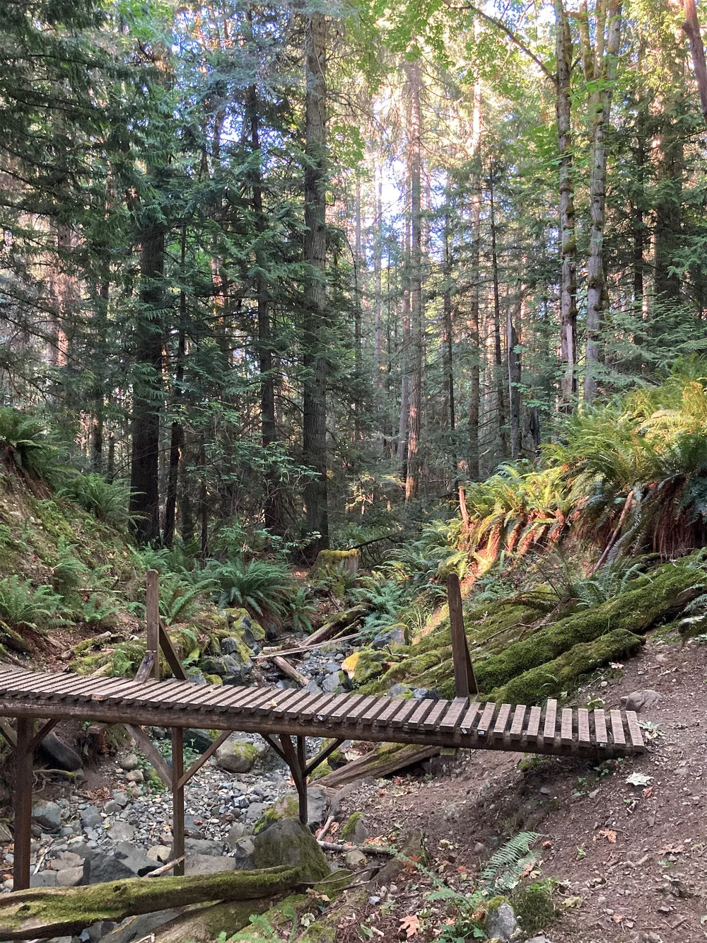 Snaw-Naw-As Campground - Vancouver Island