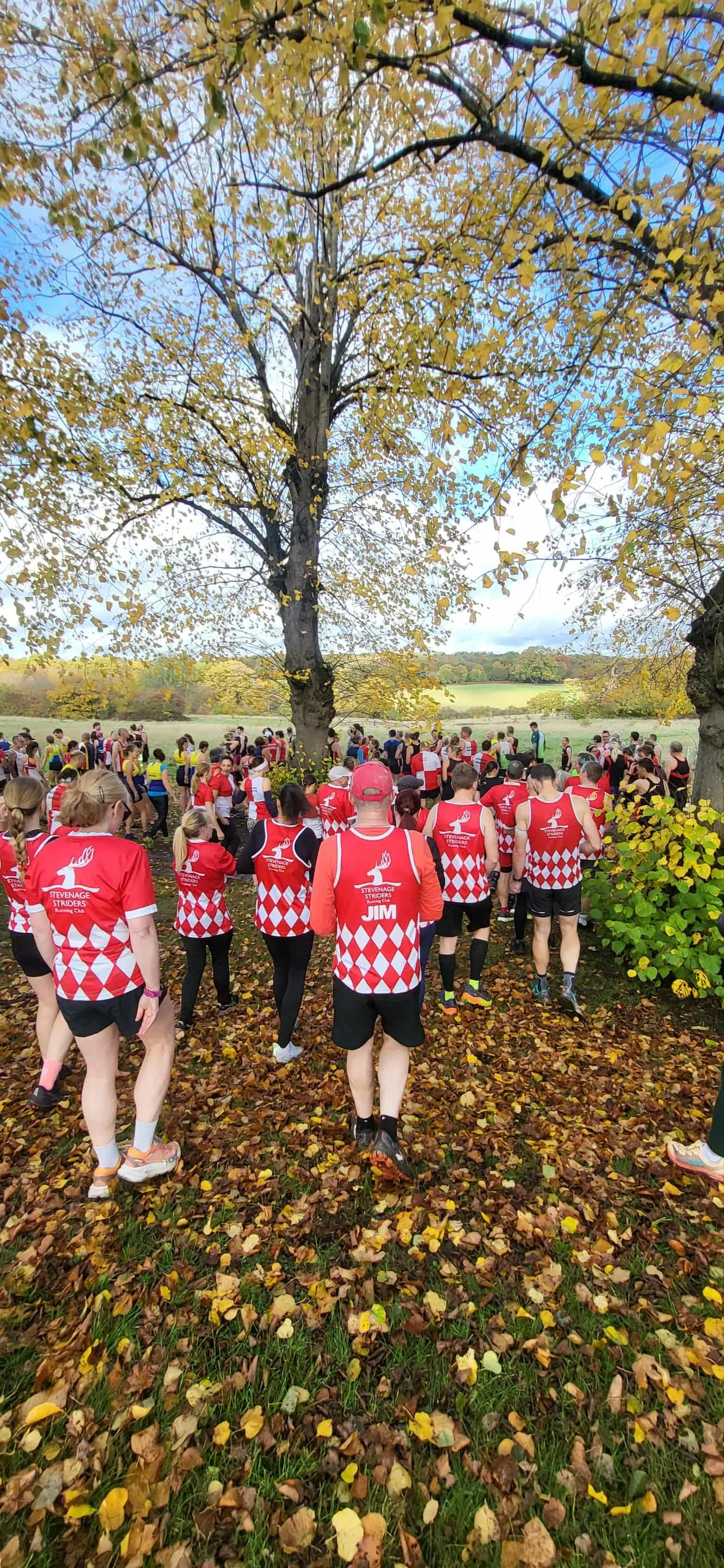 Stevenage Striders