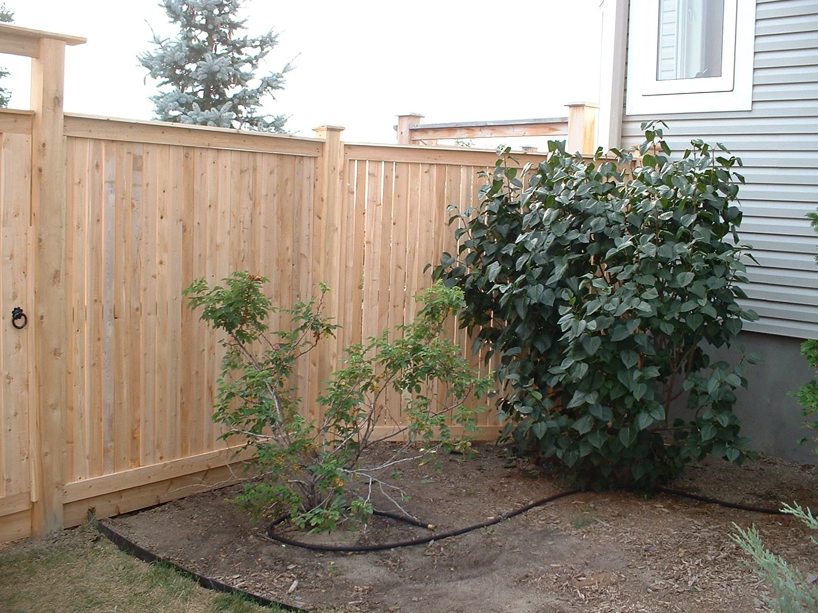 Fence Panels — TimberTough