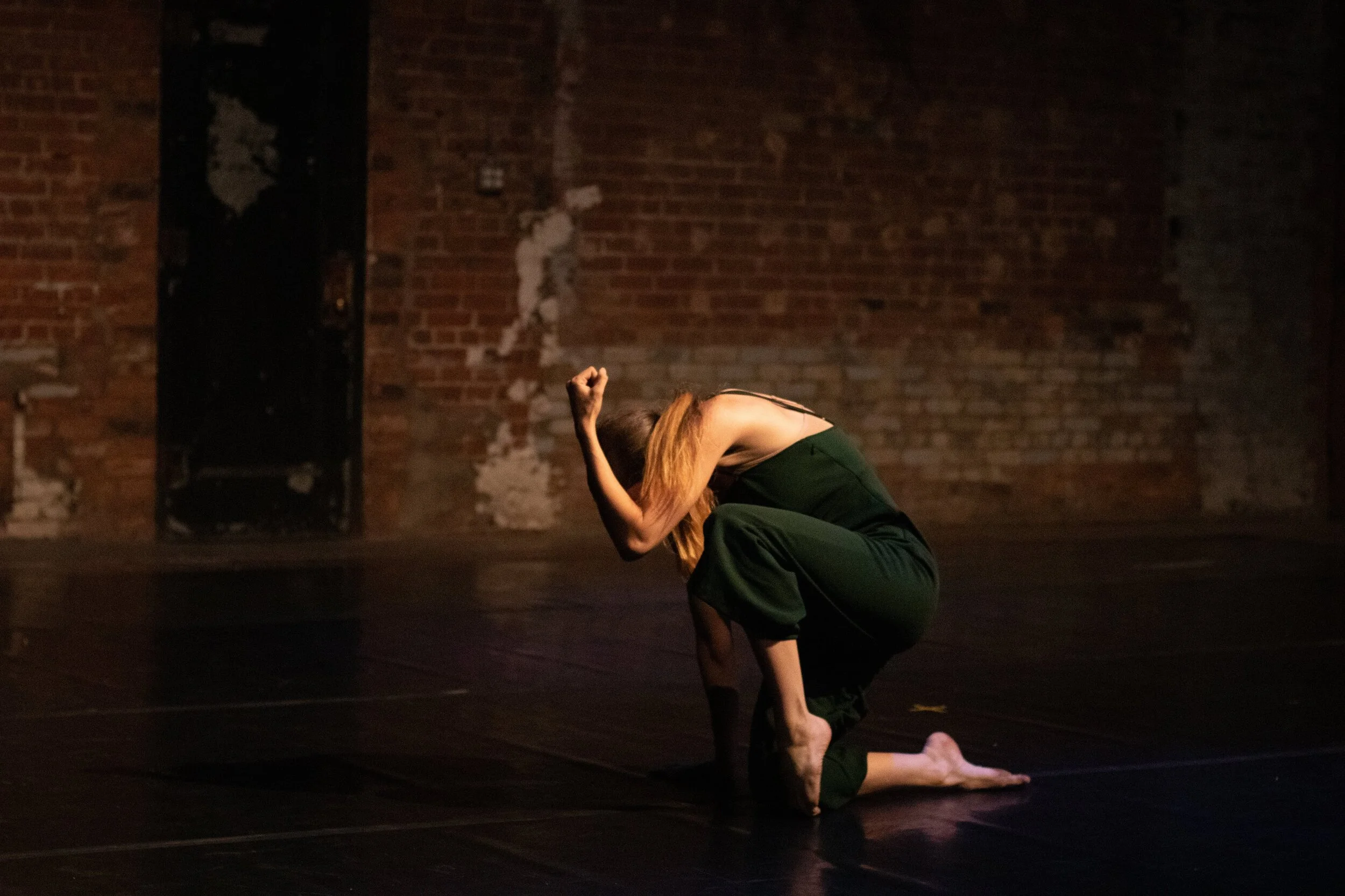 Gallery — Detroit Dance Exchange