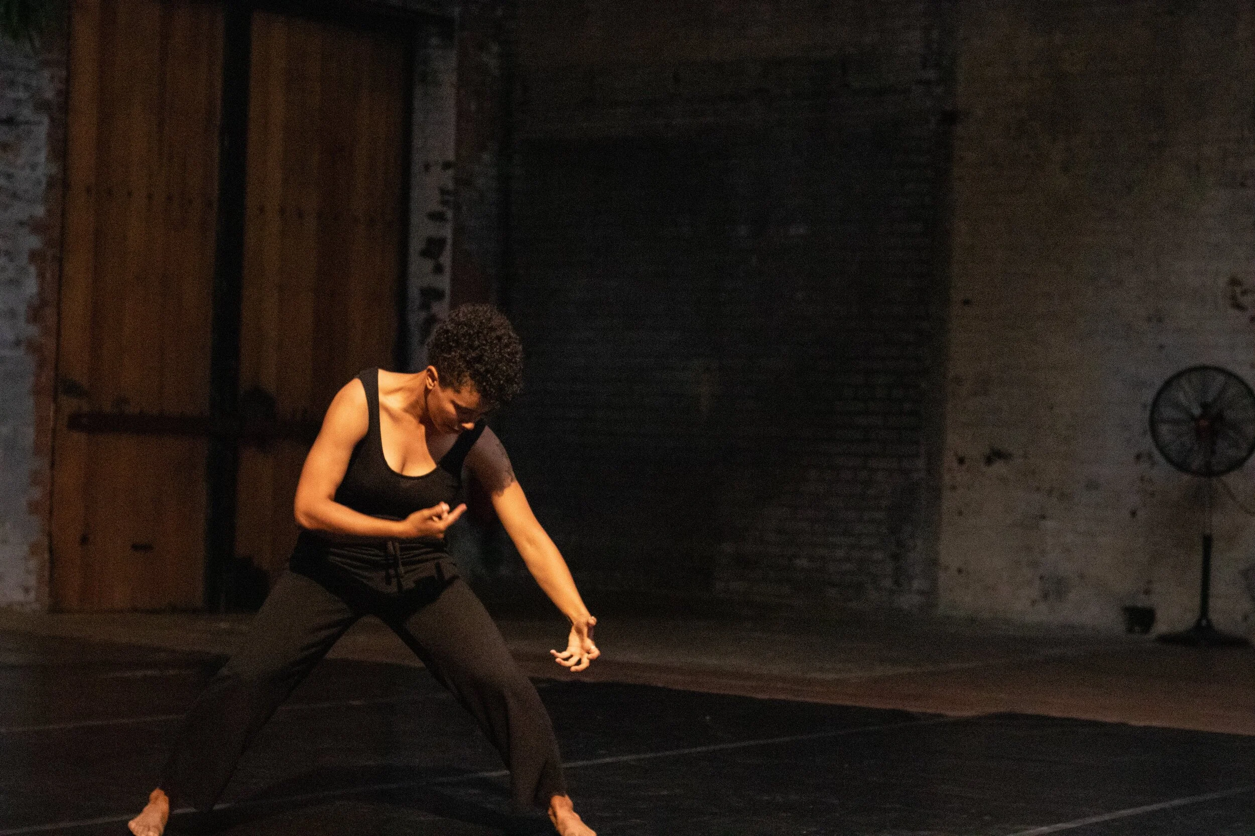 Gallery — Detroit Dance Exchange