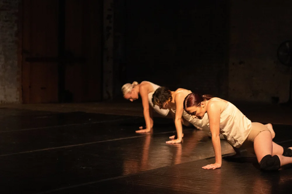 Gallery — Detroit Dance Exchange