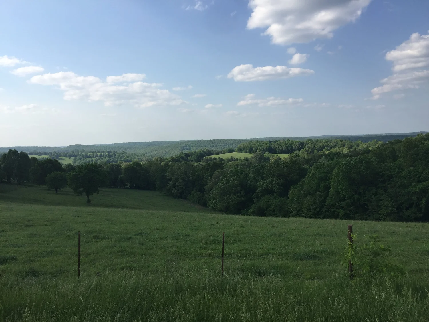 Remembering Ella: A 1912 Murder and Mystery in the Arkansas Ozarks