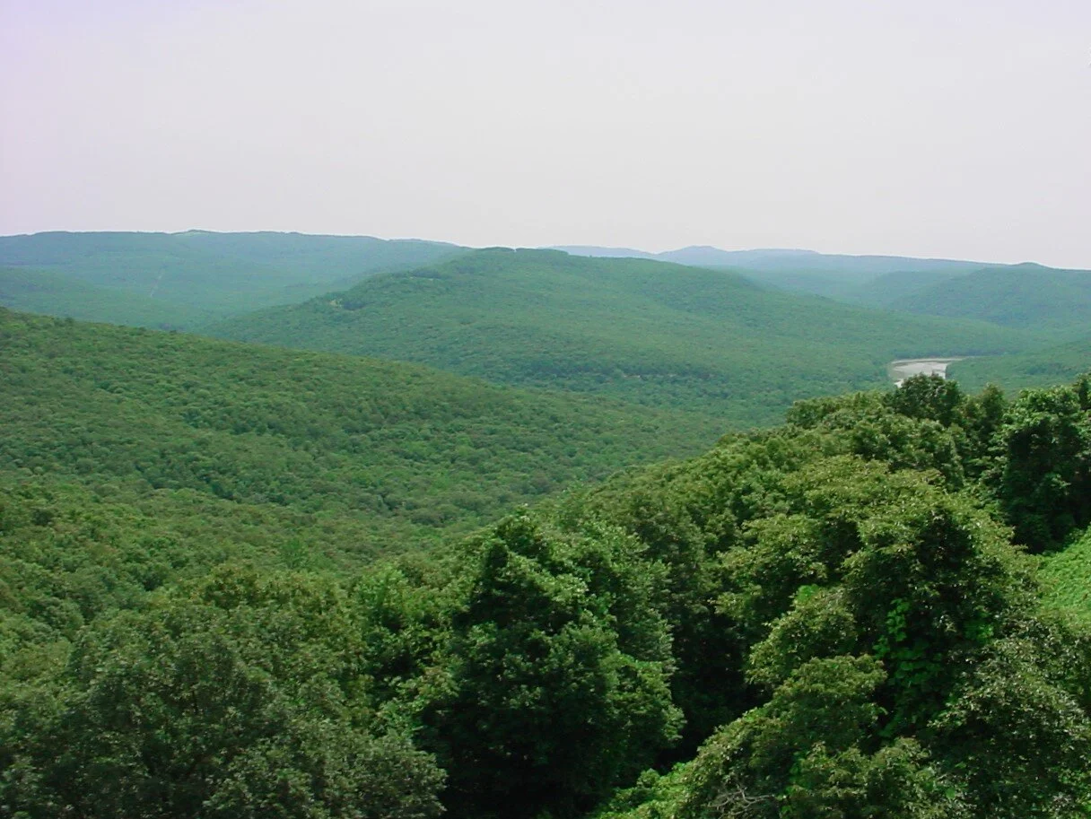 Remembering Ella: A 1912 Murder and Mystery in the Arkansas Ozarks