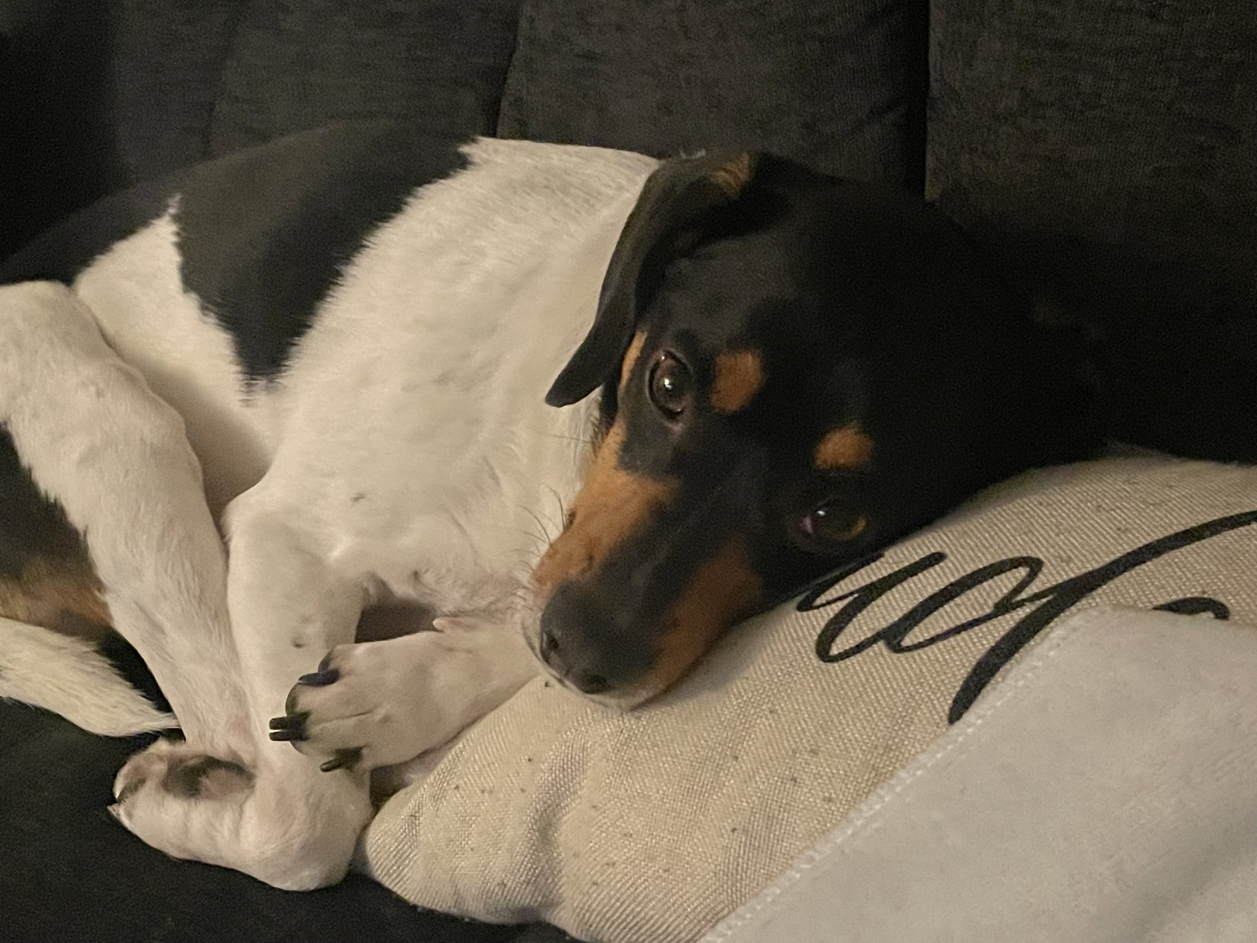 Reviews 1 — MBR FARM