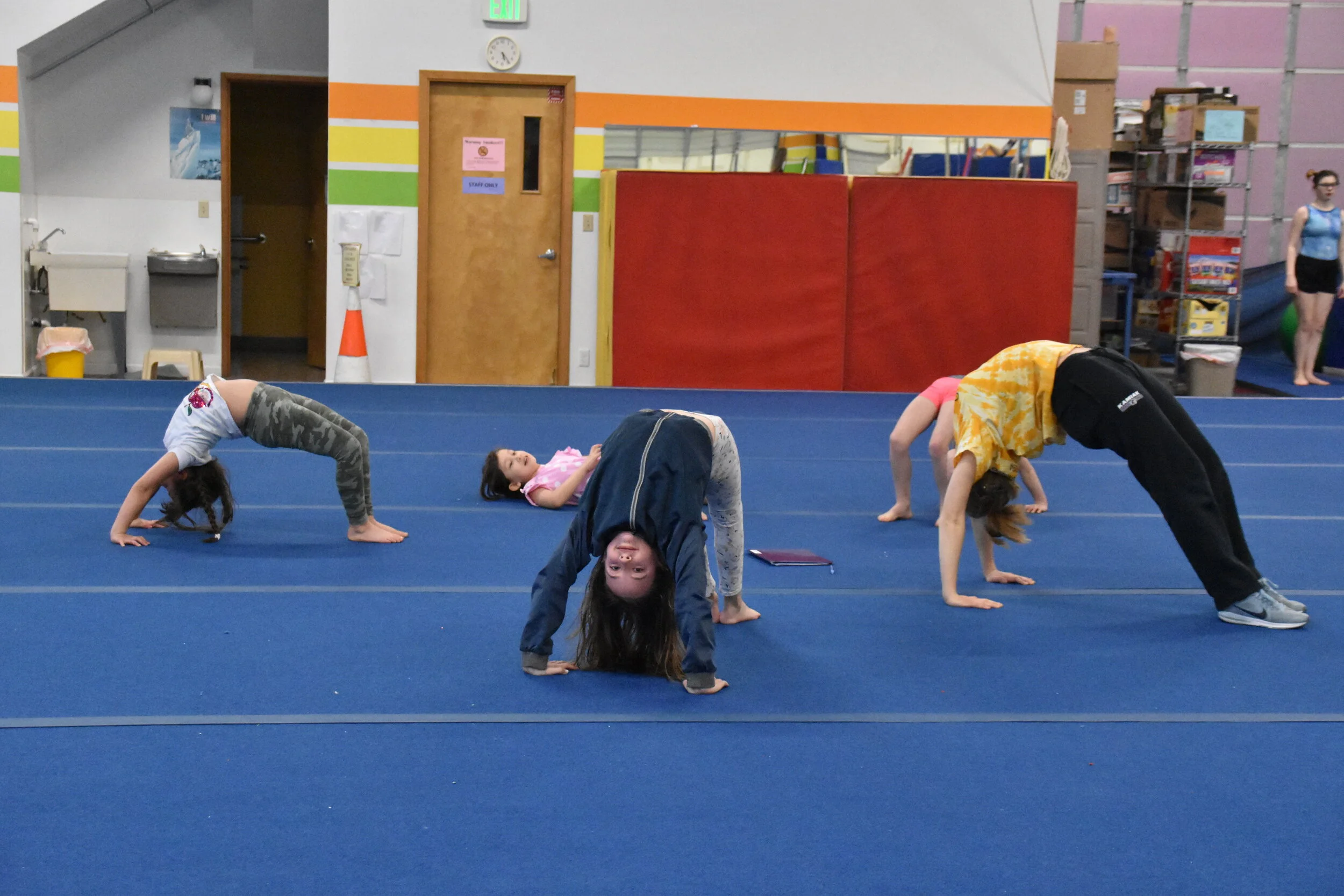 Class Info — Gymagine Gymnastics