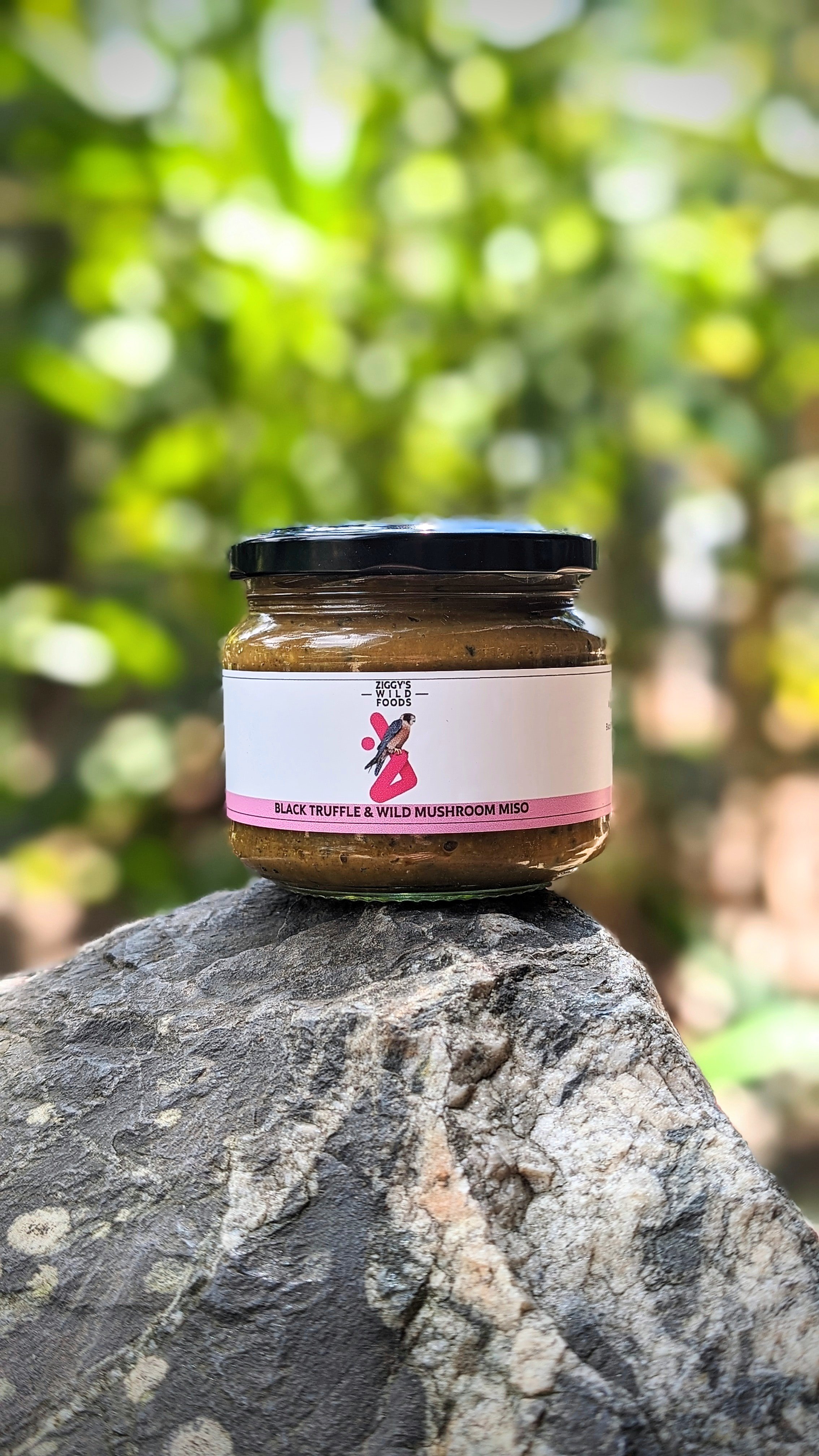 Wild Miso Pastes and Condiments — Ziggy's Wildfoods