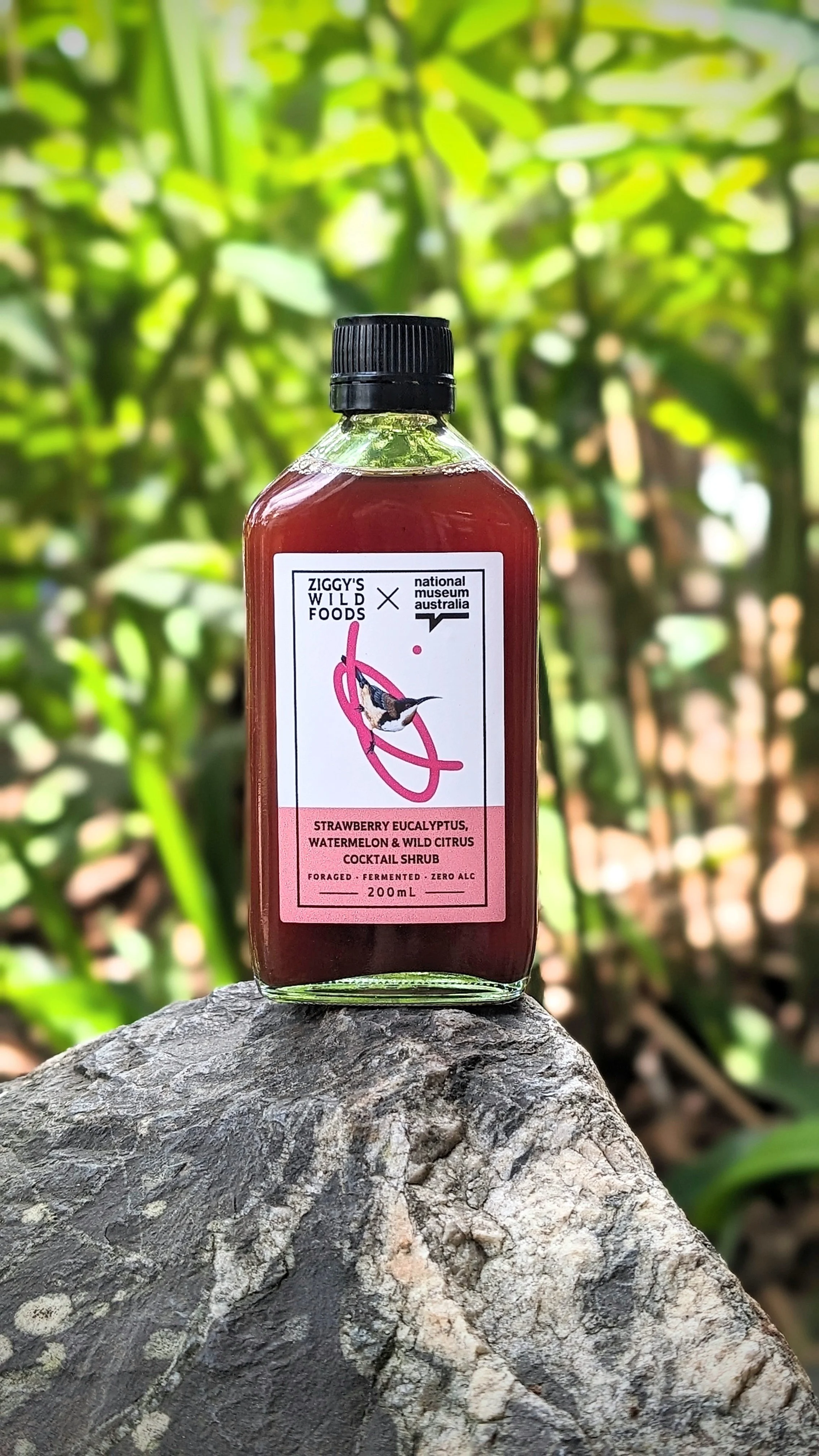 Wild Fermented Drink Mixers — Ziggy's Wildfoods