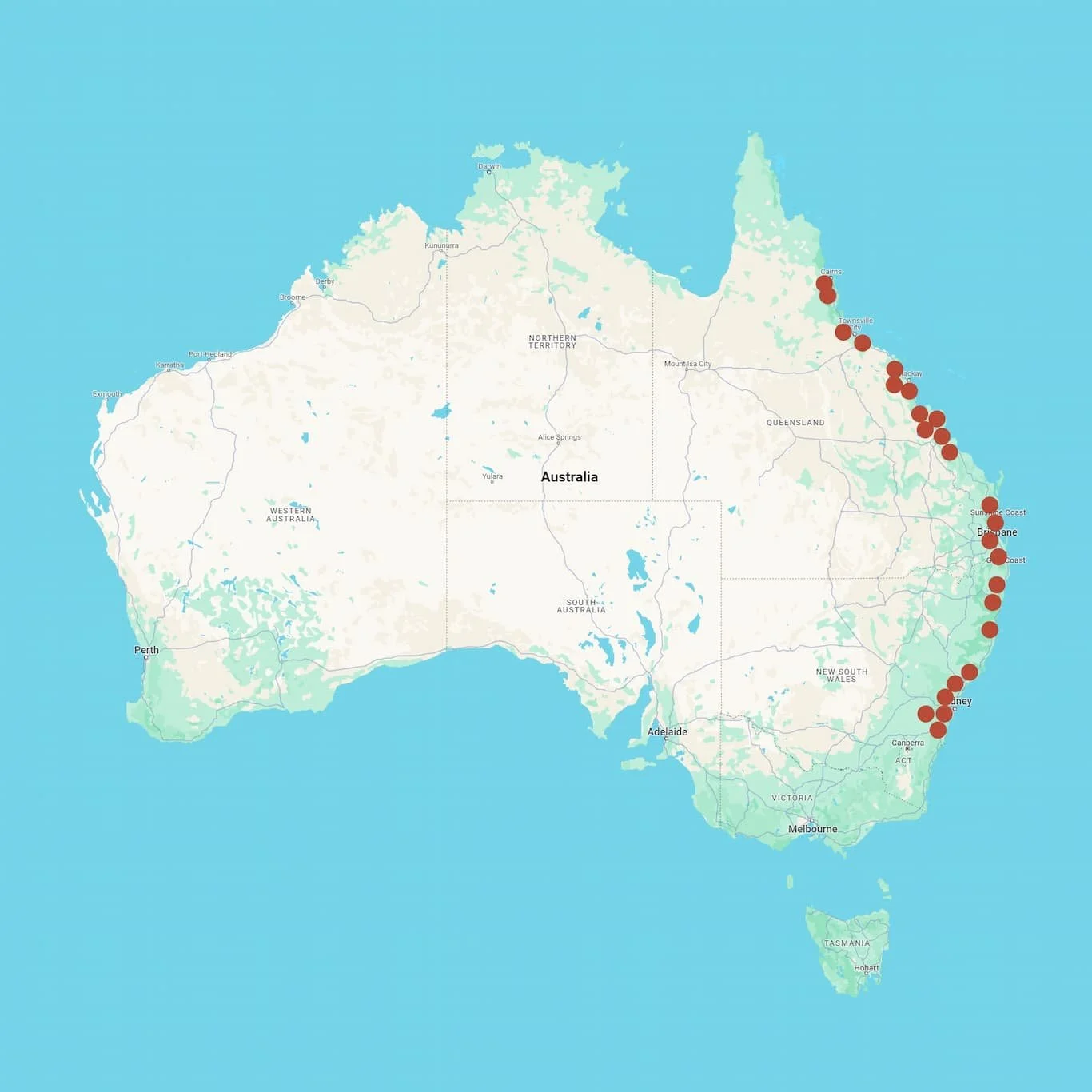 Lemon Myrtle: A Delicious Australian Native Herb — Ziggy's Wildfoods