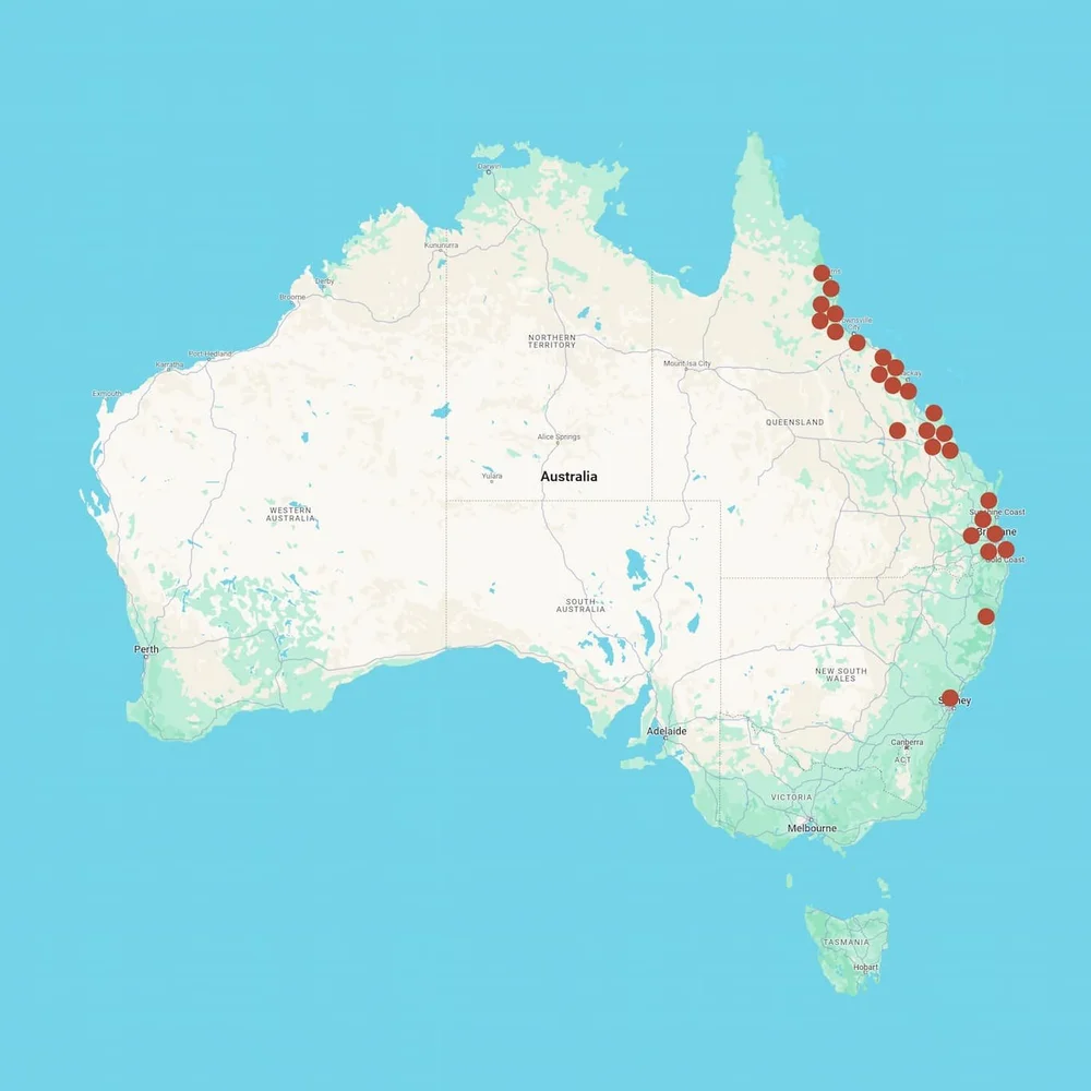 Atherton Raspberry (Rubus Probus): About, Recipes, and More — Ziggy's ...