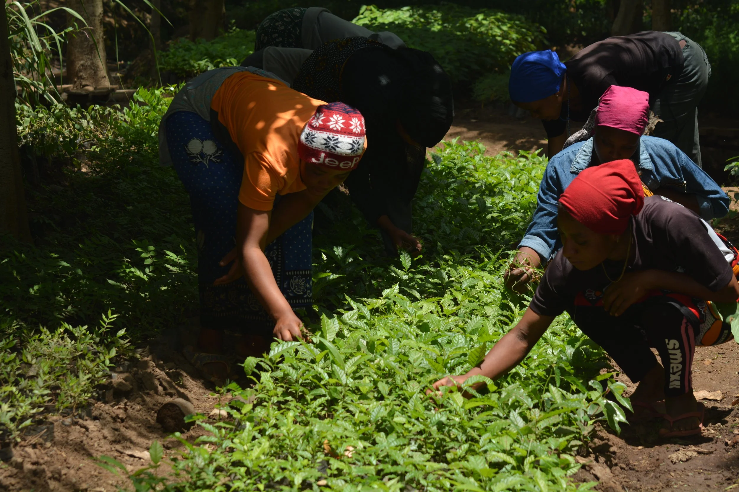 Sustainability — Haystack digital business cards