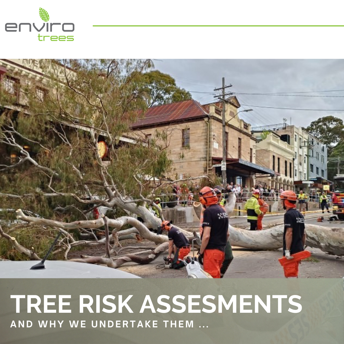 TREE RISK ASSESMENTS - AND WHY WE UNDERTAKE THEM — Enviro Trees
