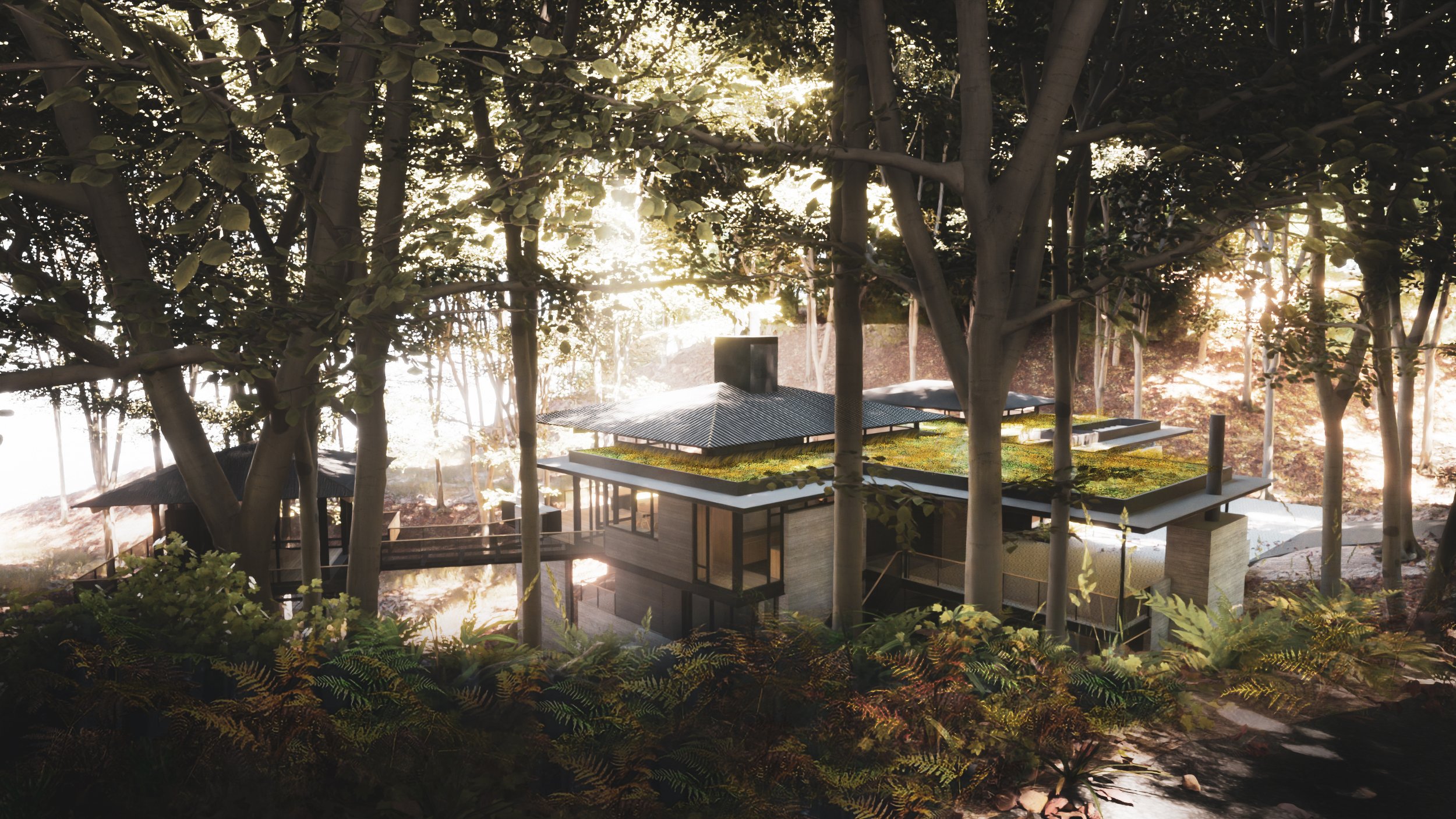 North House Architects