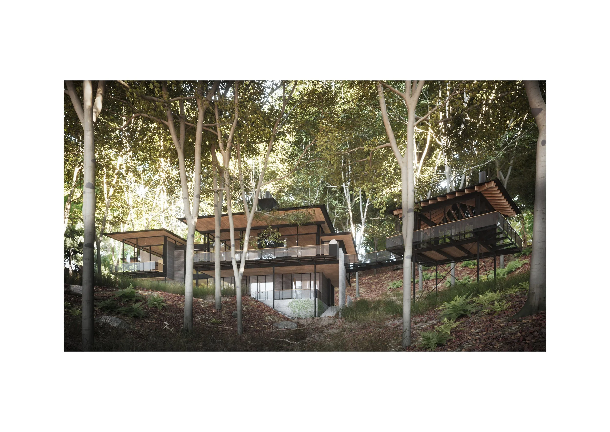 North House Architects