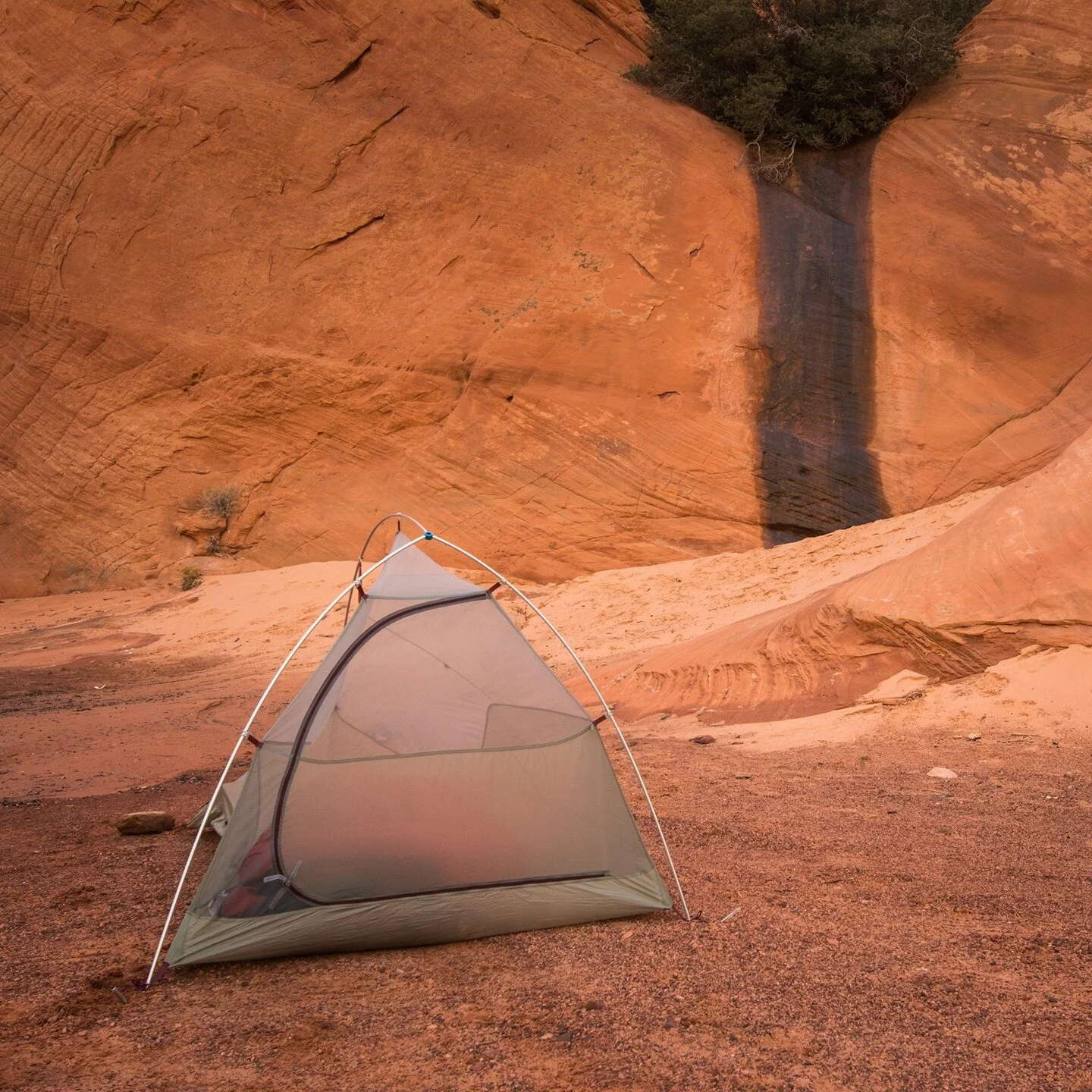 The Desert Rat-St.George