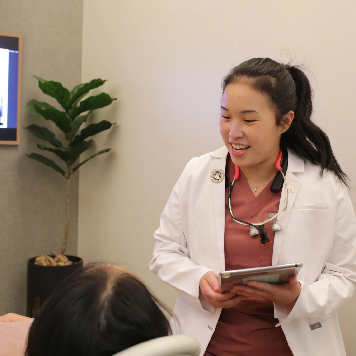 Meet the Dentist
