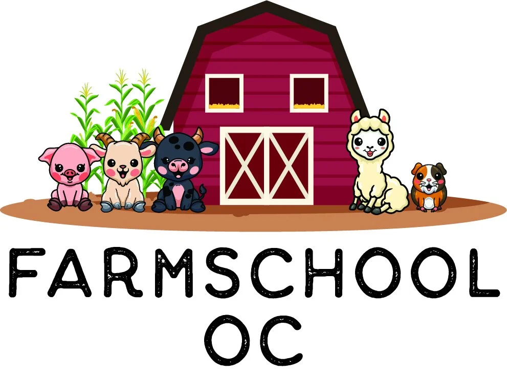 Farm School OC Morning Program — Magic Steps Studios