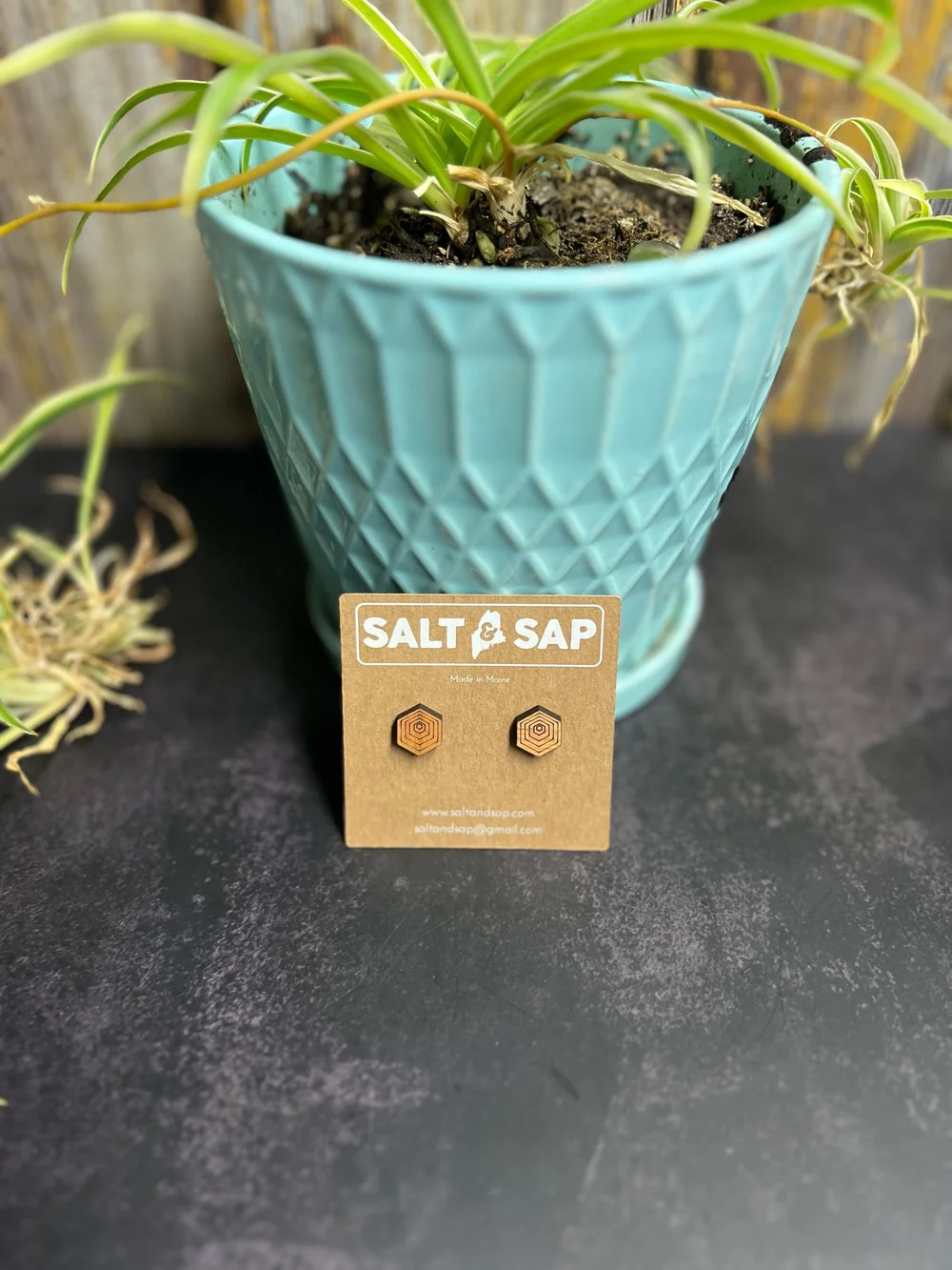 Shop — Salt and Sap
