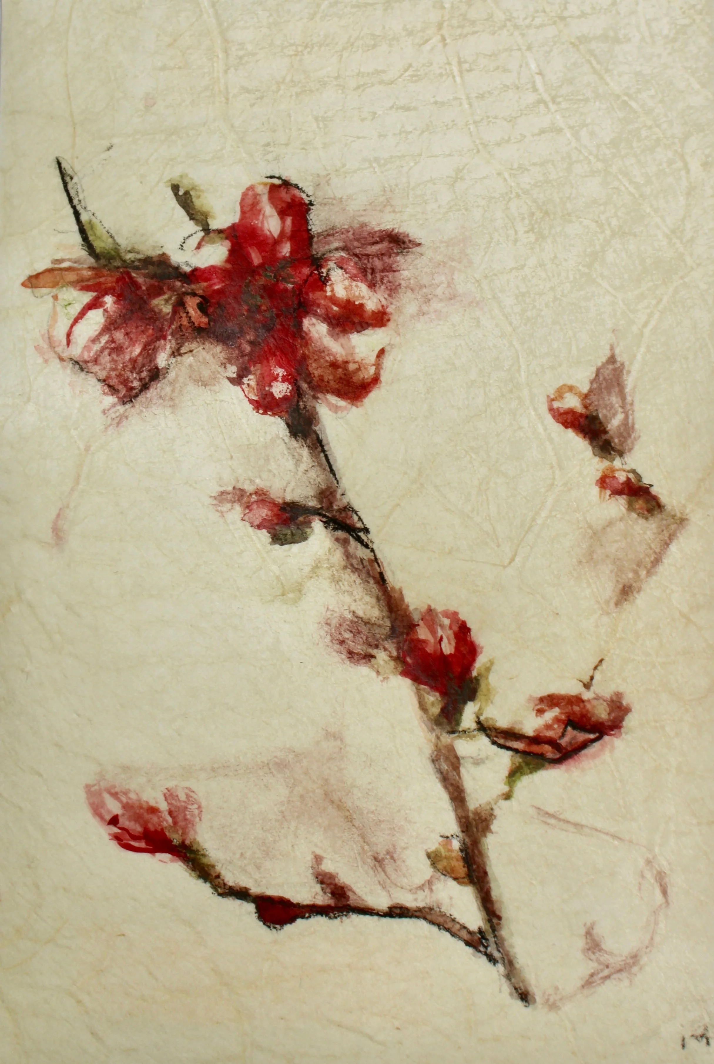 Buy work by artist Mary Chamberlain — Mary Chamberlain