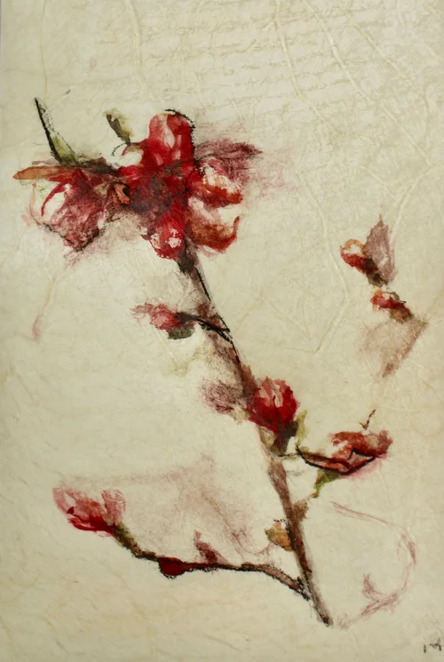 Mary Chamberlain
