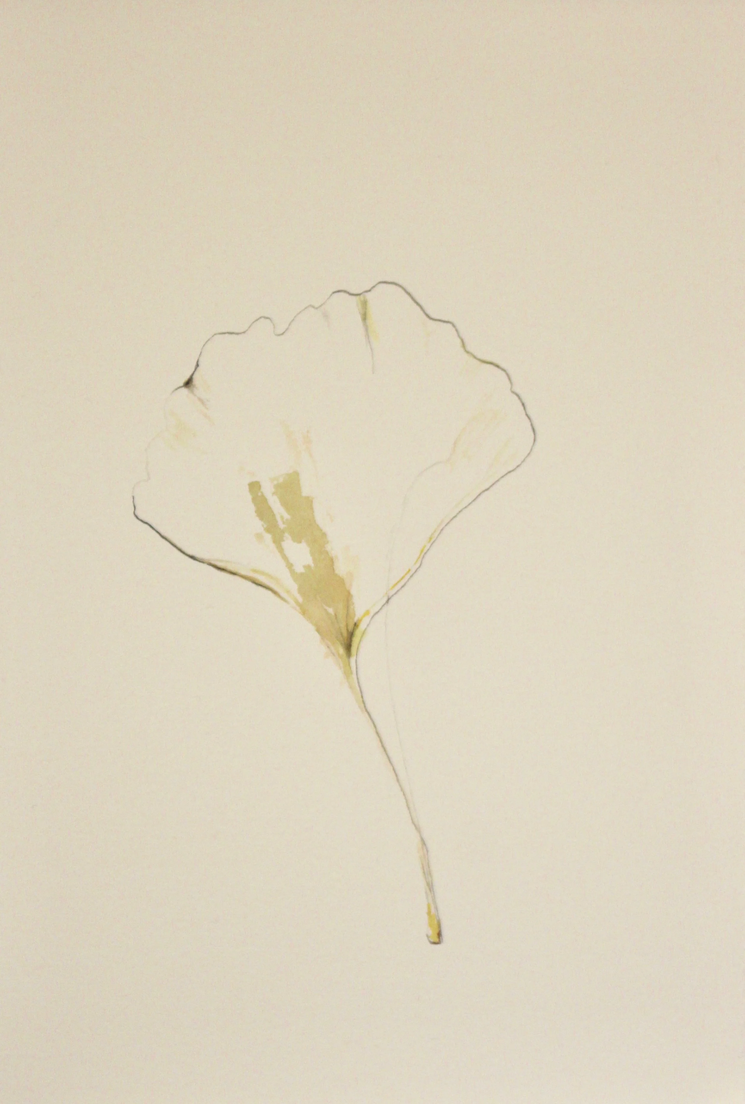 Projects | Movement Works — Mary Chamberlain