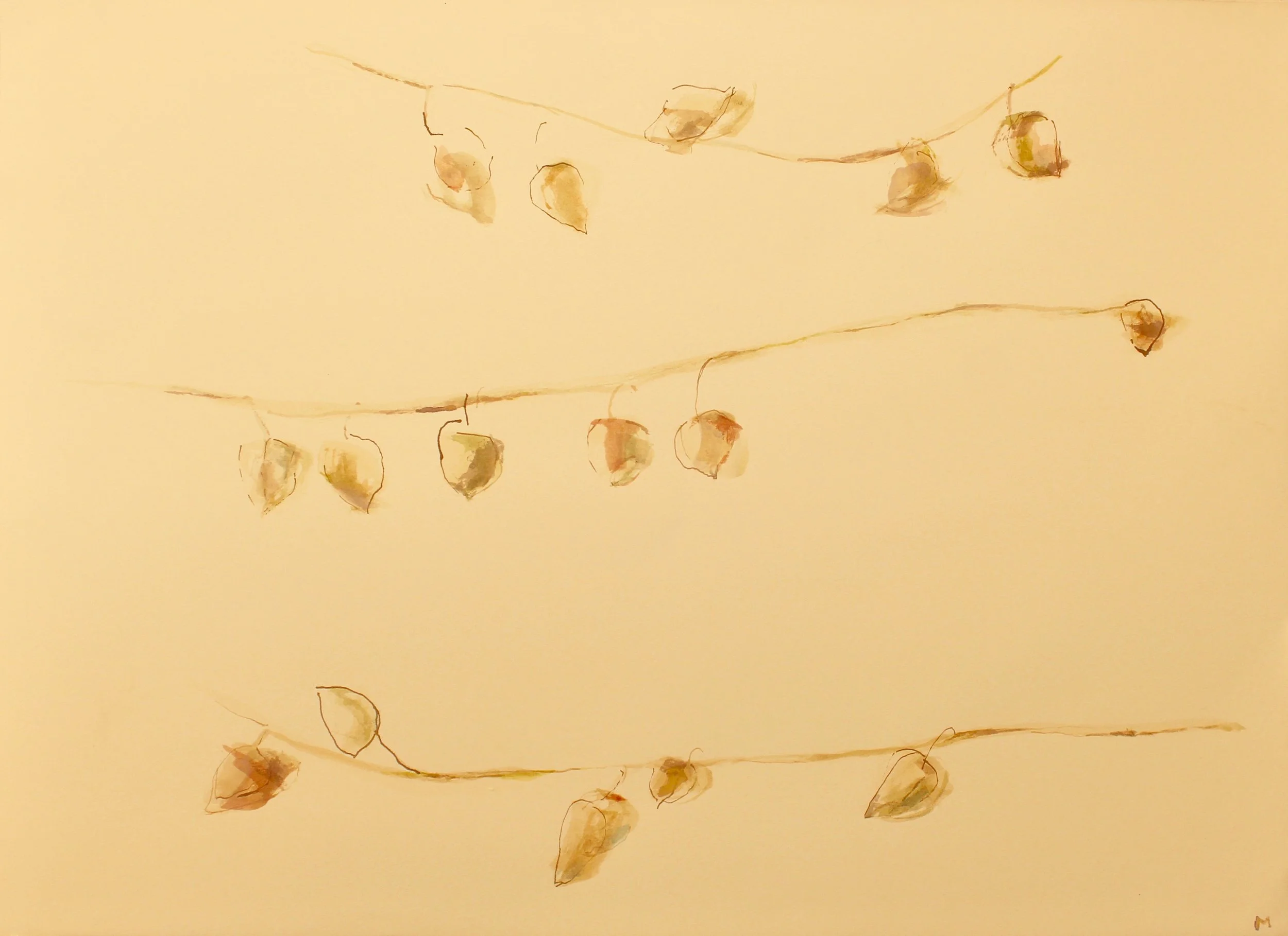 Projects | Recent Work — Mary Chamberlain