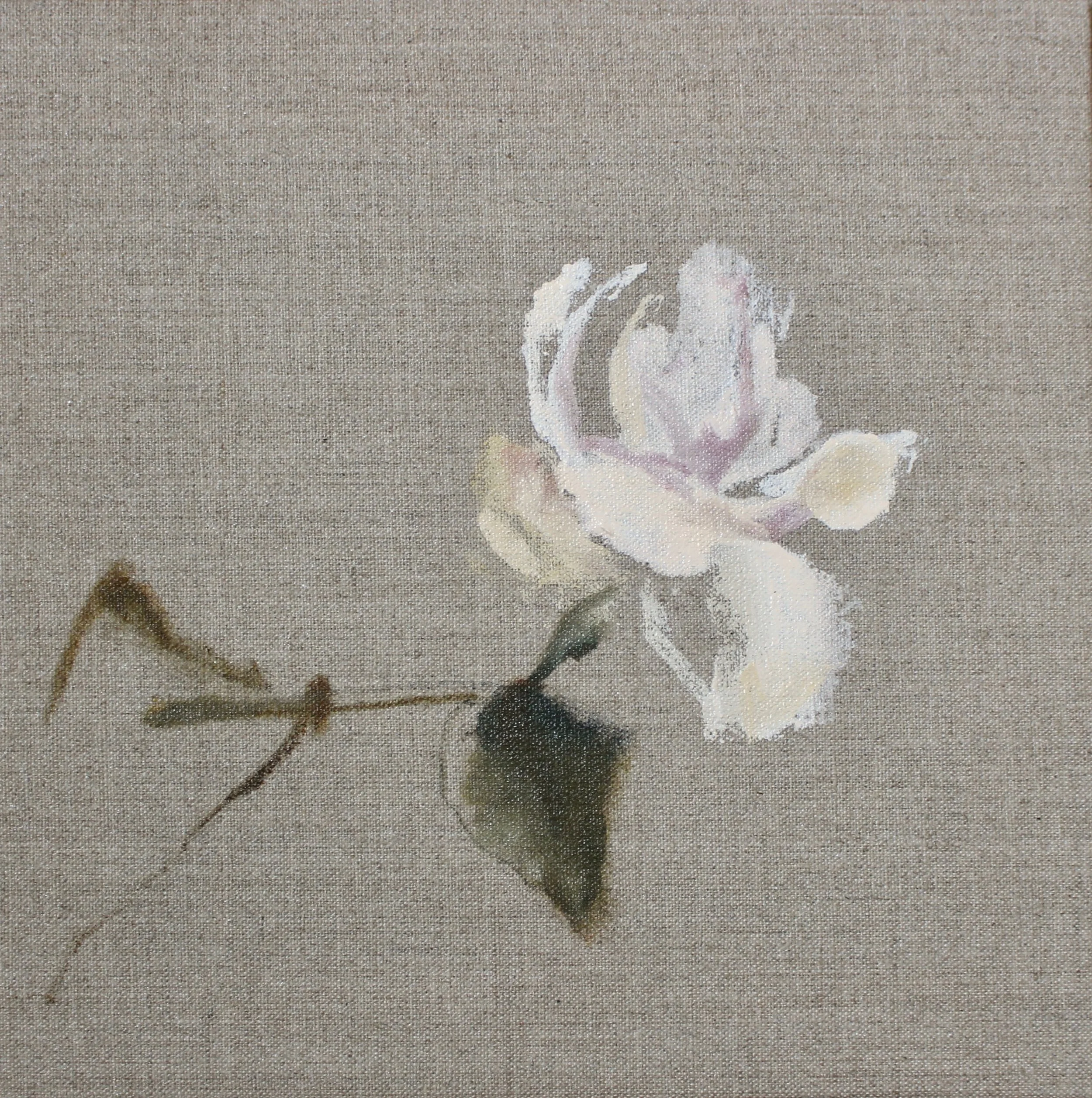 Projects | Recent Work — Mary Chamberlain