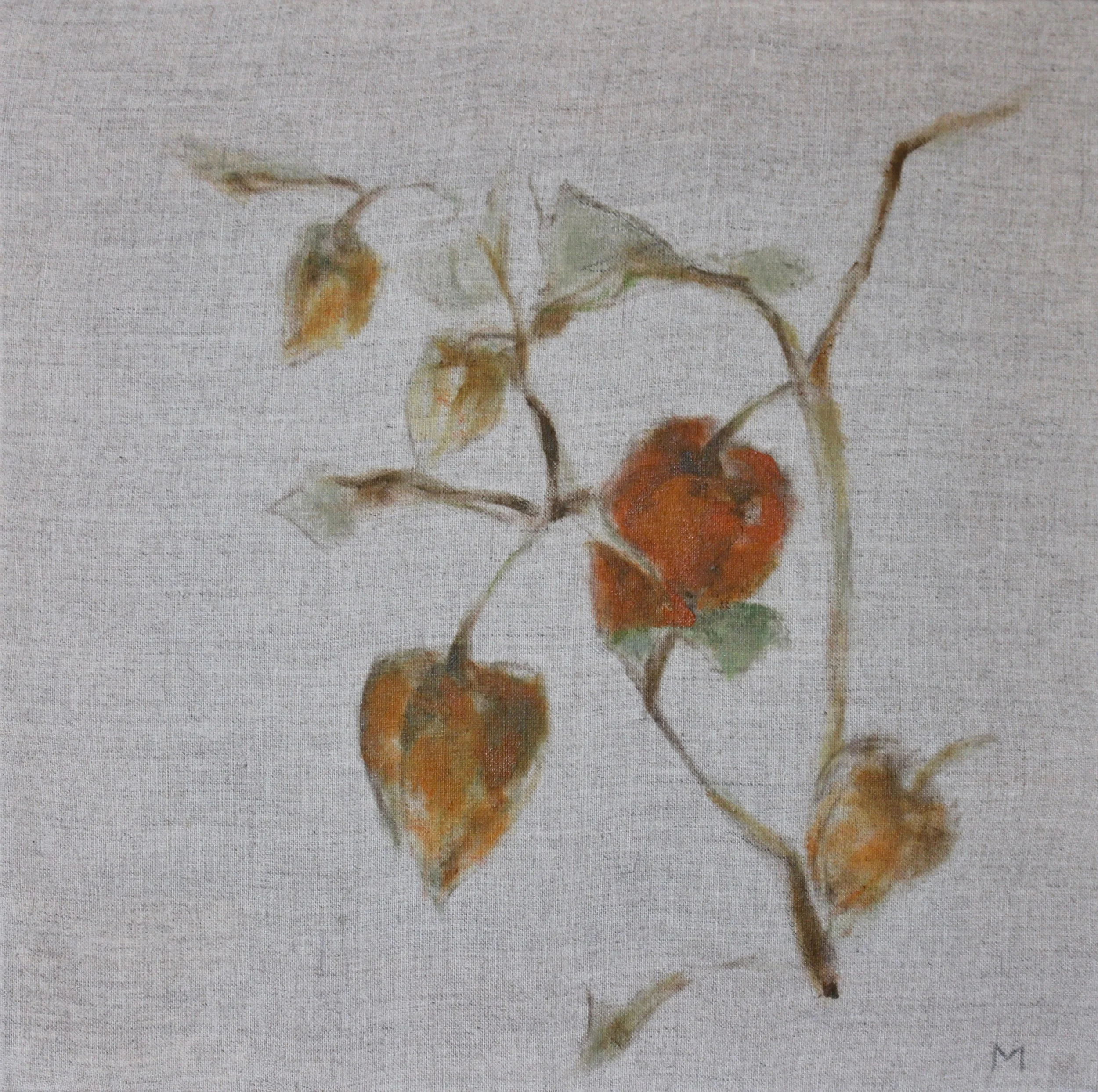 Projects | Recent Work — Mary Chamberlain