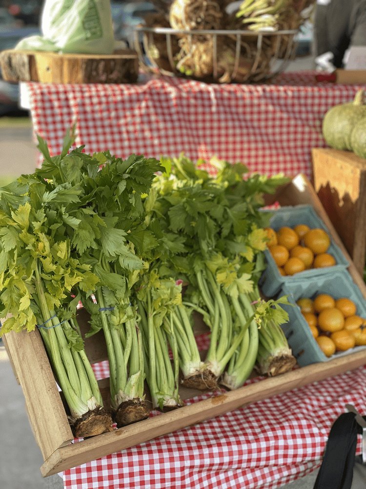 Downtown Marquette Farmers Market