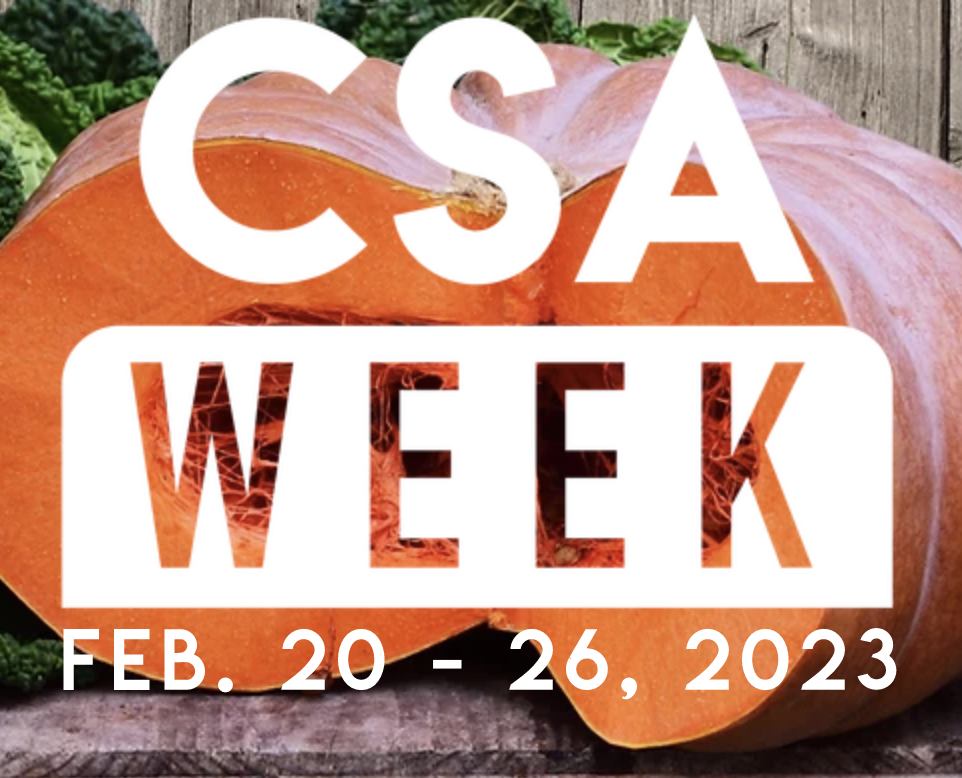 Downtown Marquette Farmers Market