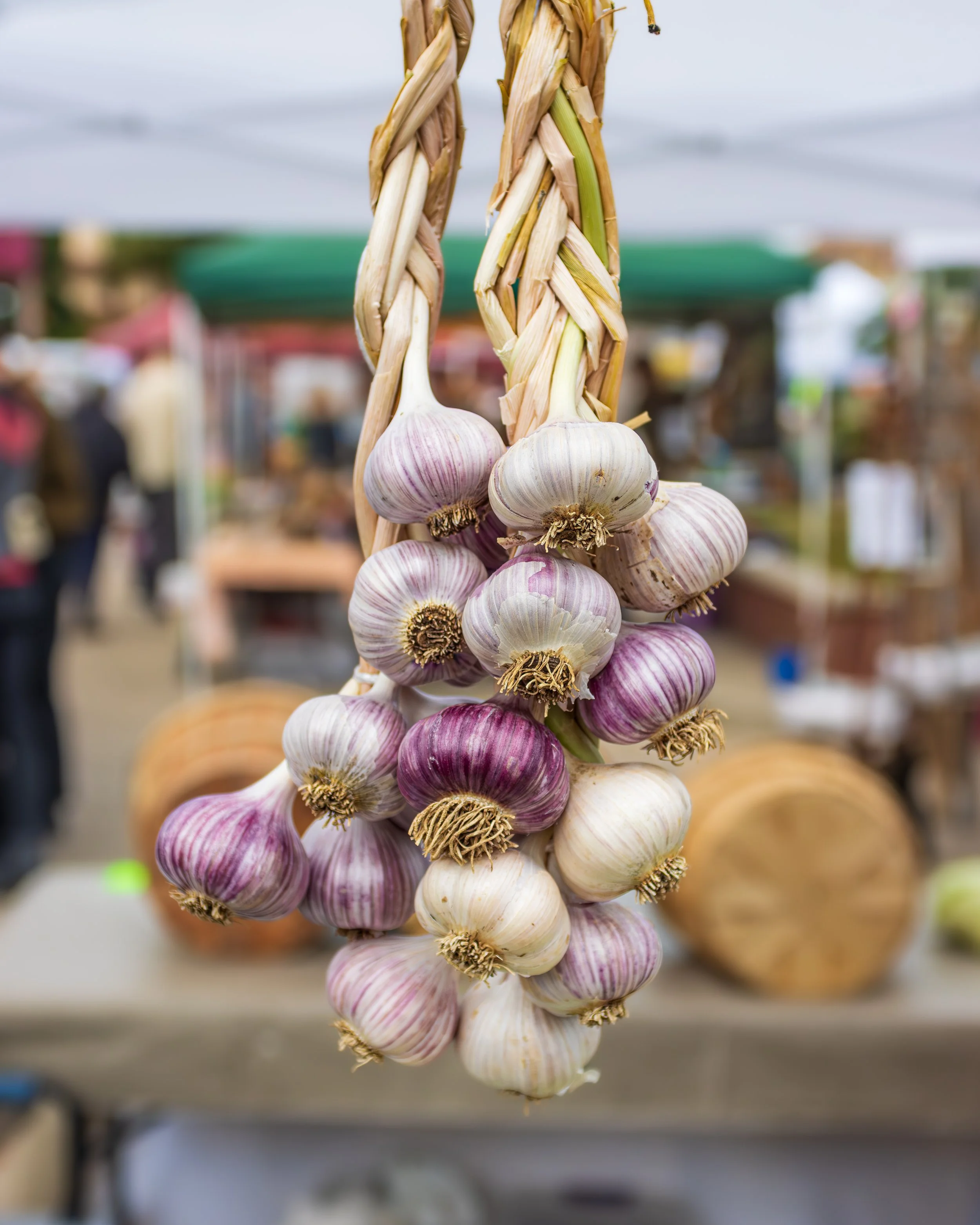 Downtown Marquette Farmers Market