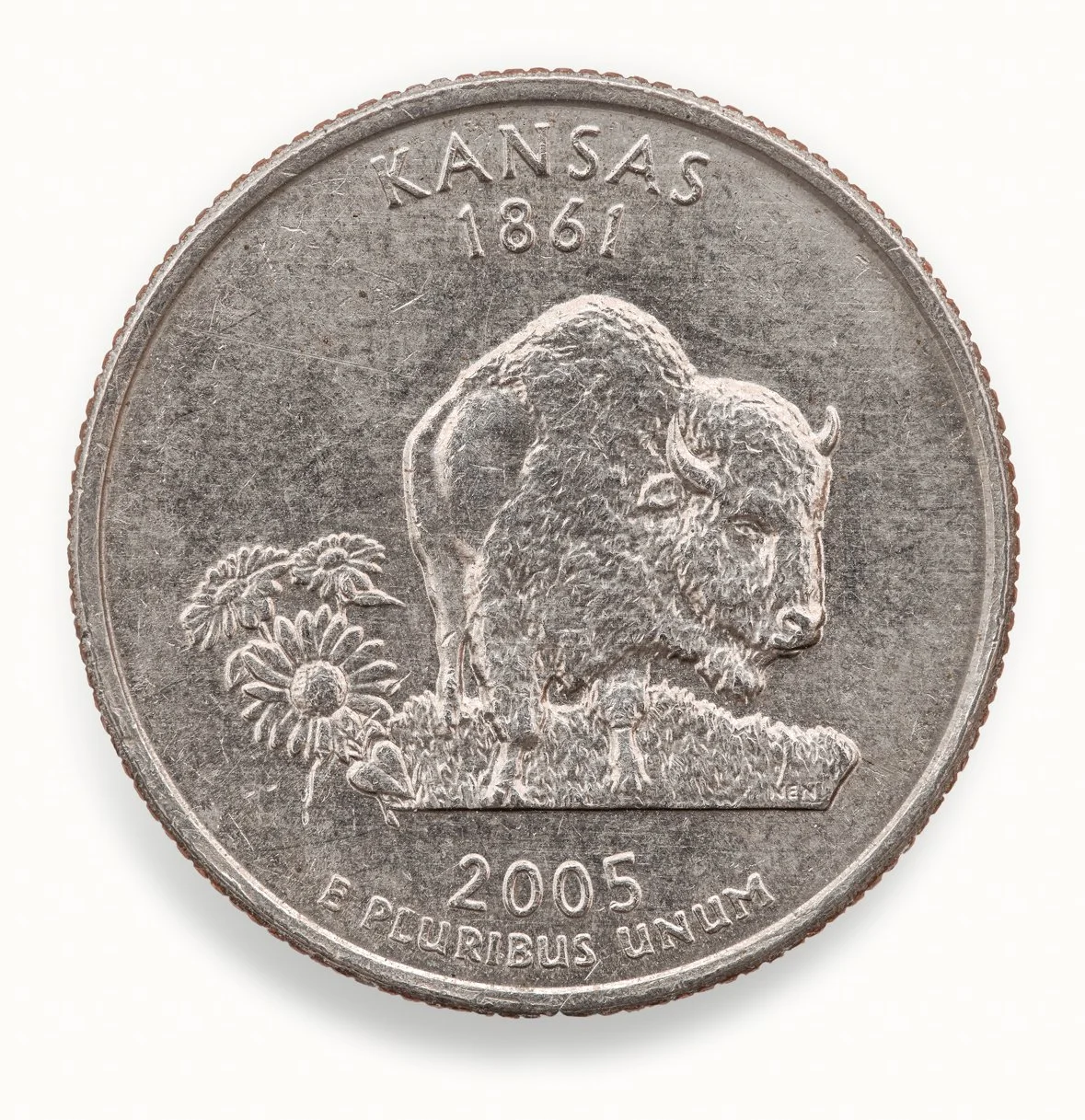 America - The Statehood Quarters — Blaise Hayward / Art