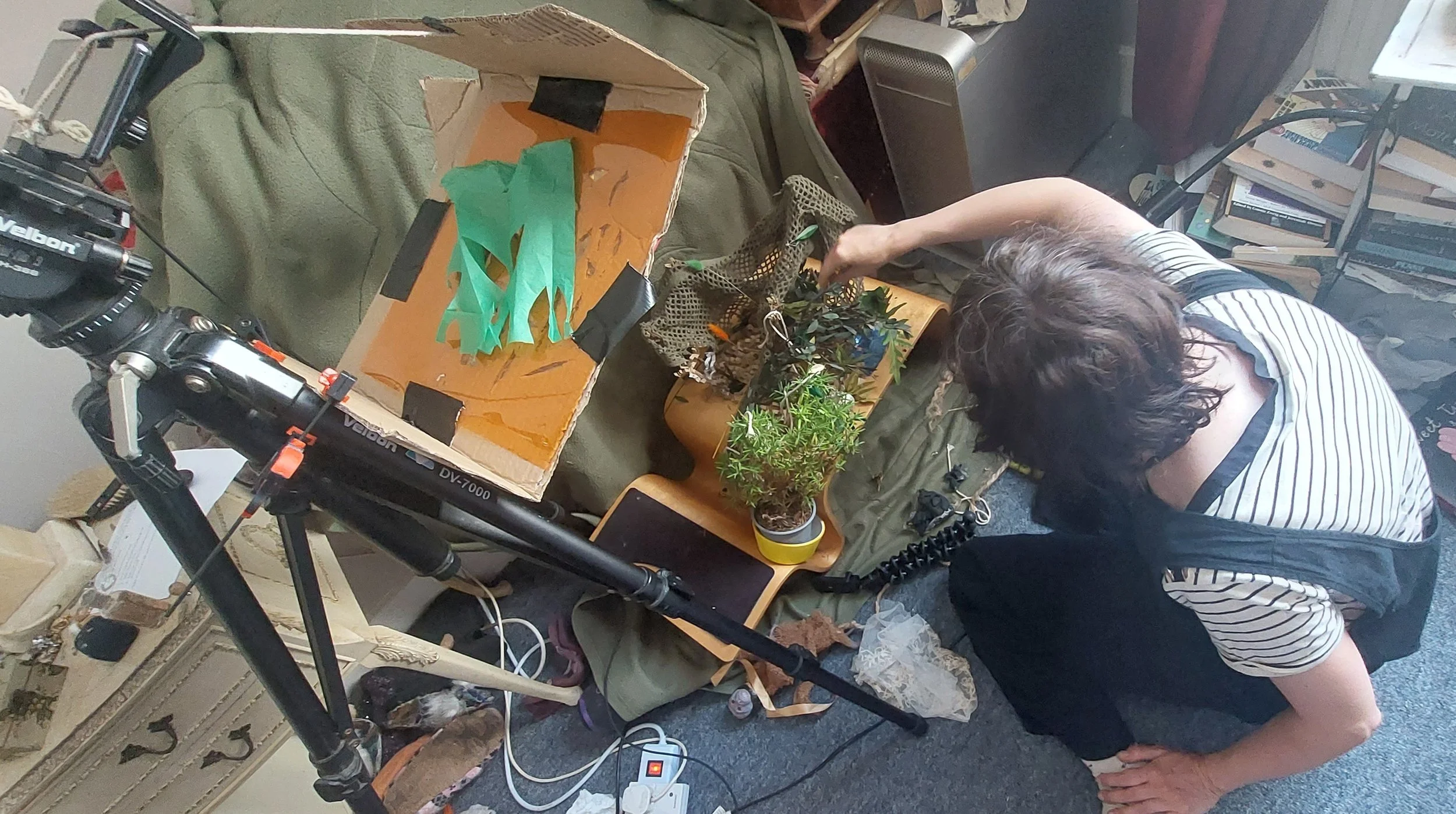 Rainforest Microcinema and Soundscape — Daisy Jordan / Barely Human Puppets