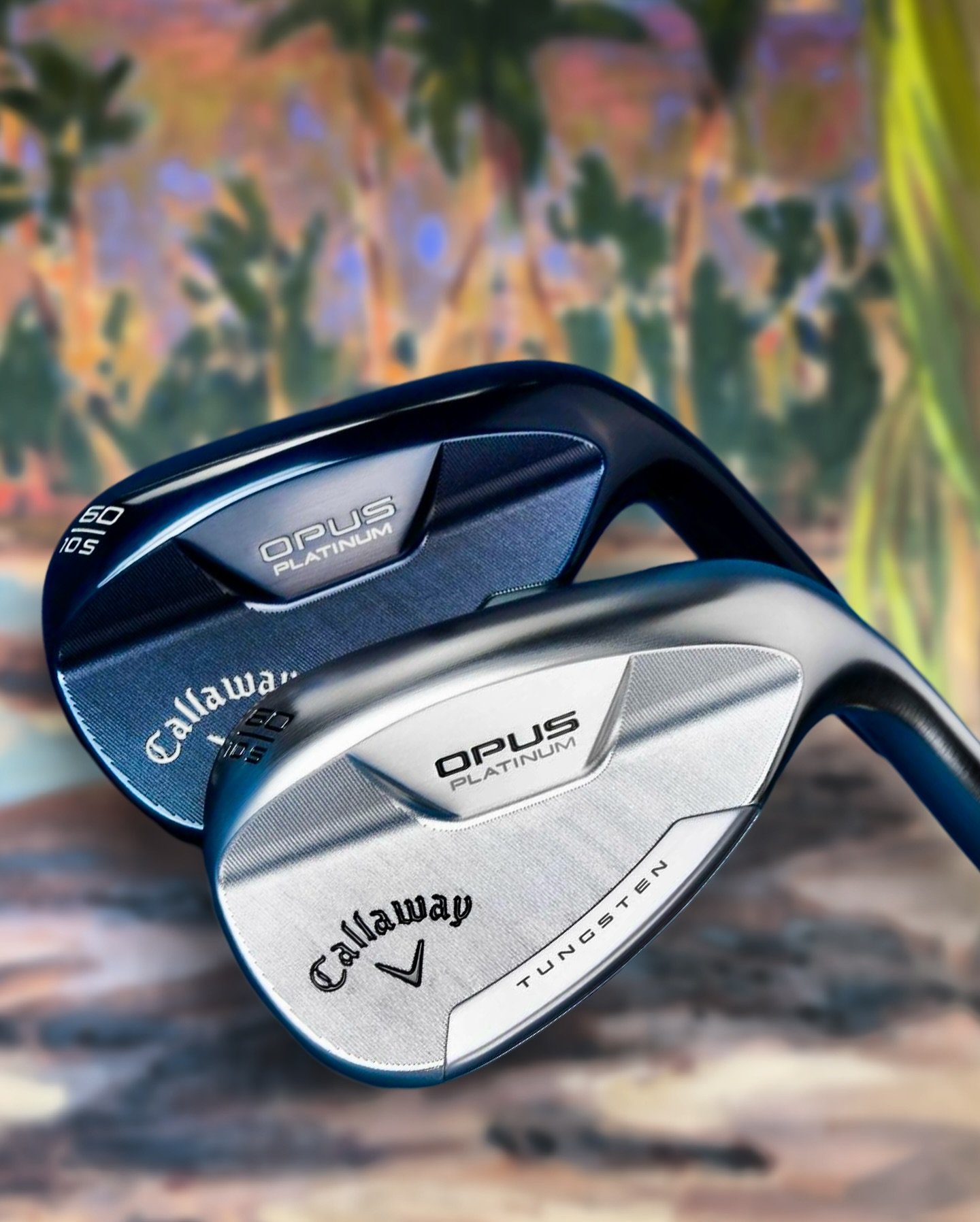 Roger Dunn Golf Hawaii