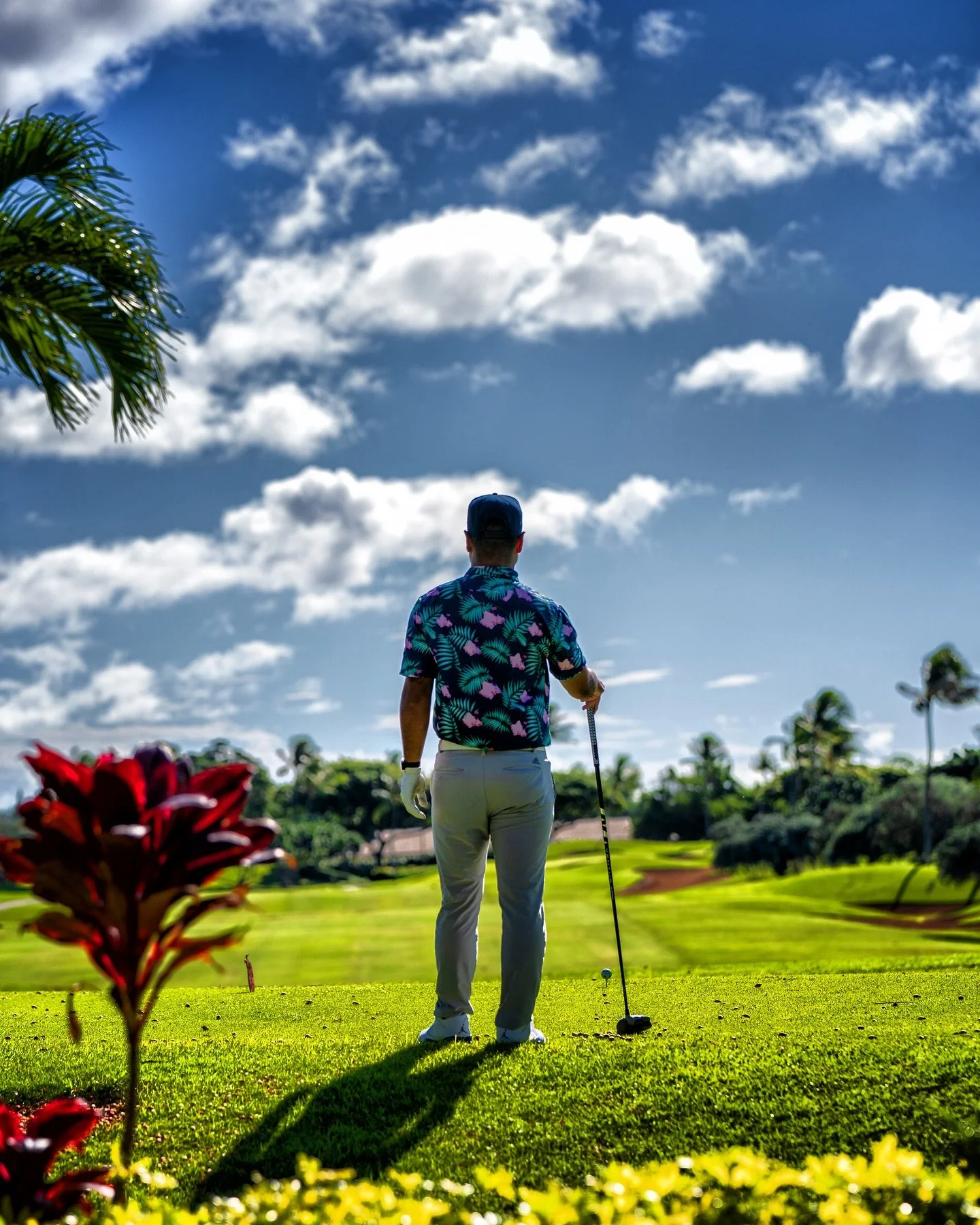 Roger Dunn Golf Hawaii