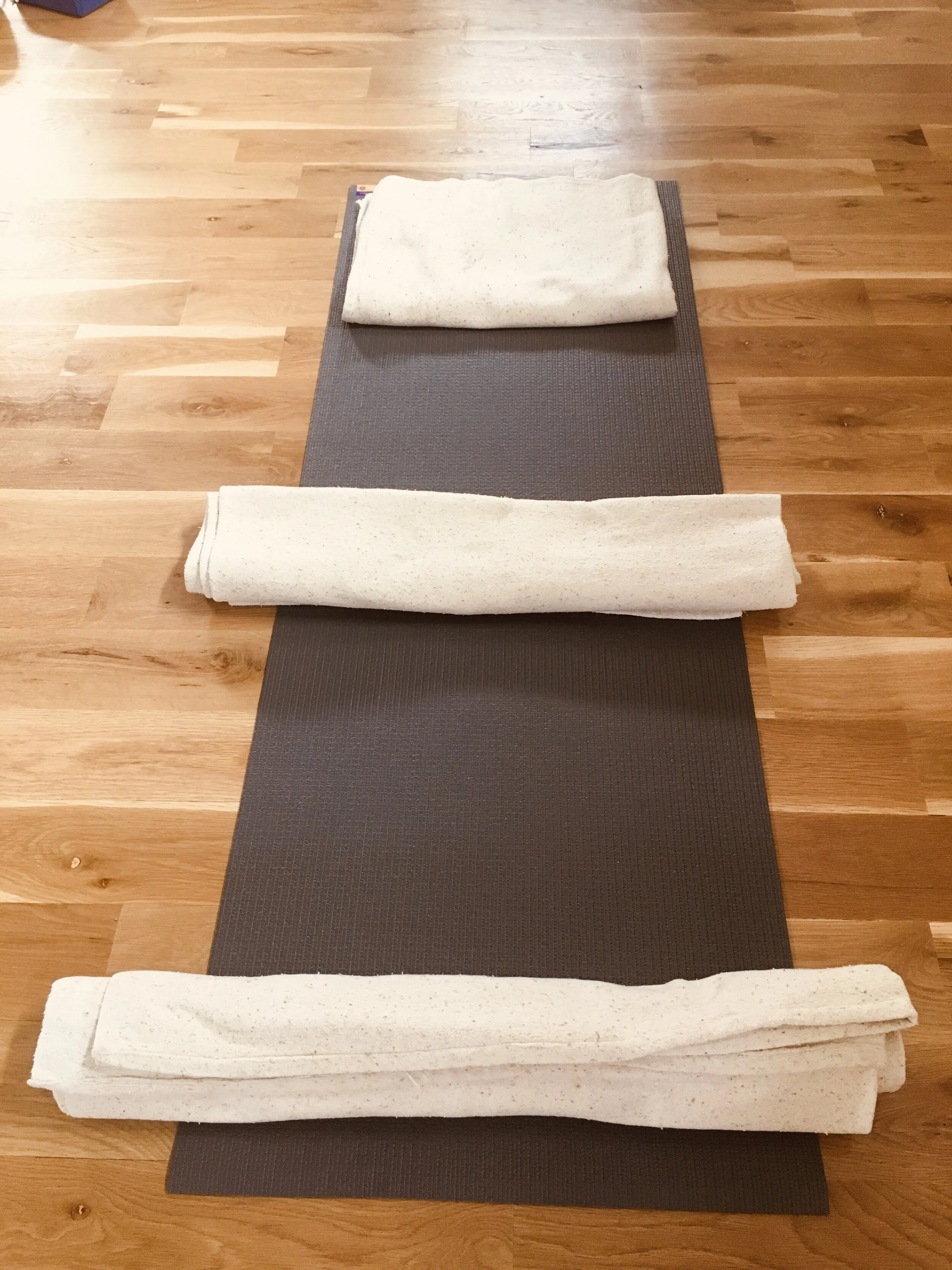 Back Care Basics — Chestnut Hill Yoga