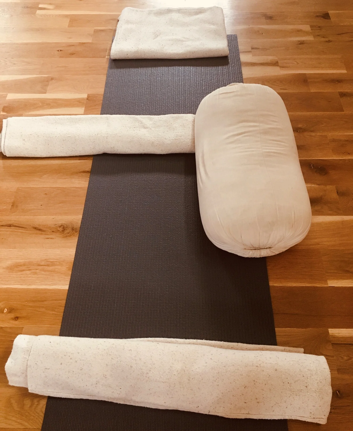 Back Care Basics — Chestnut Hill Yoga