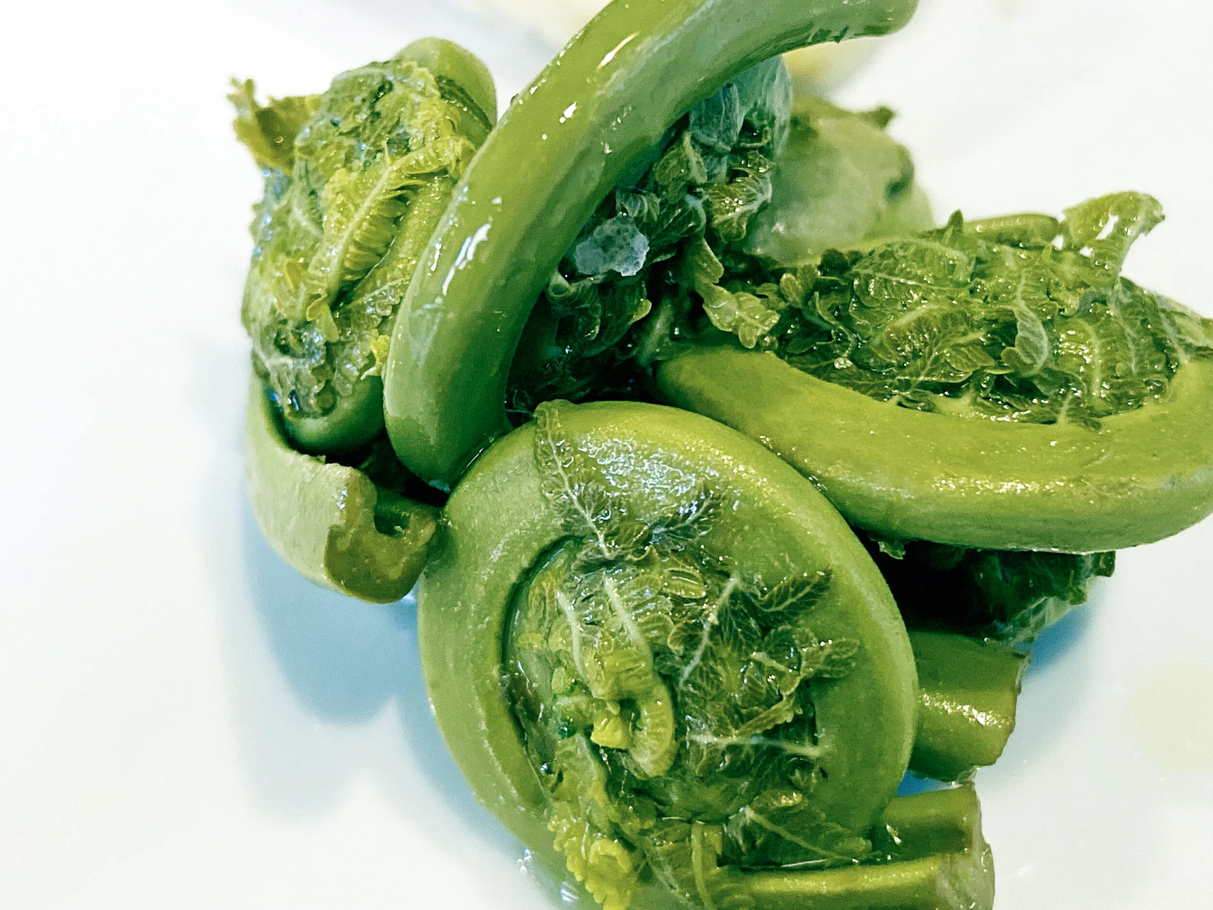 NOSH SCRATCH KITCHEN