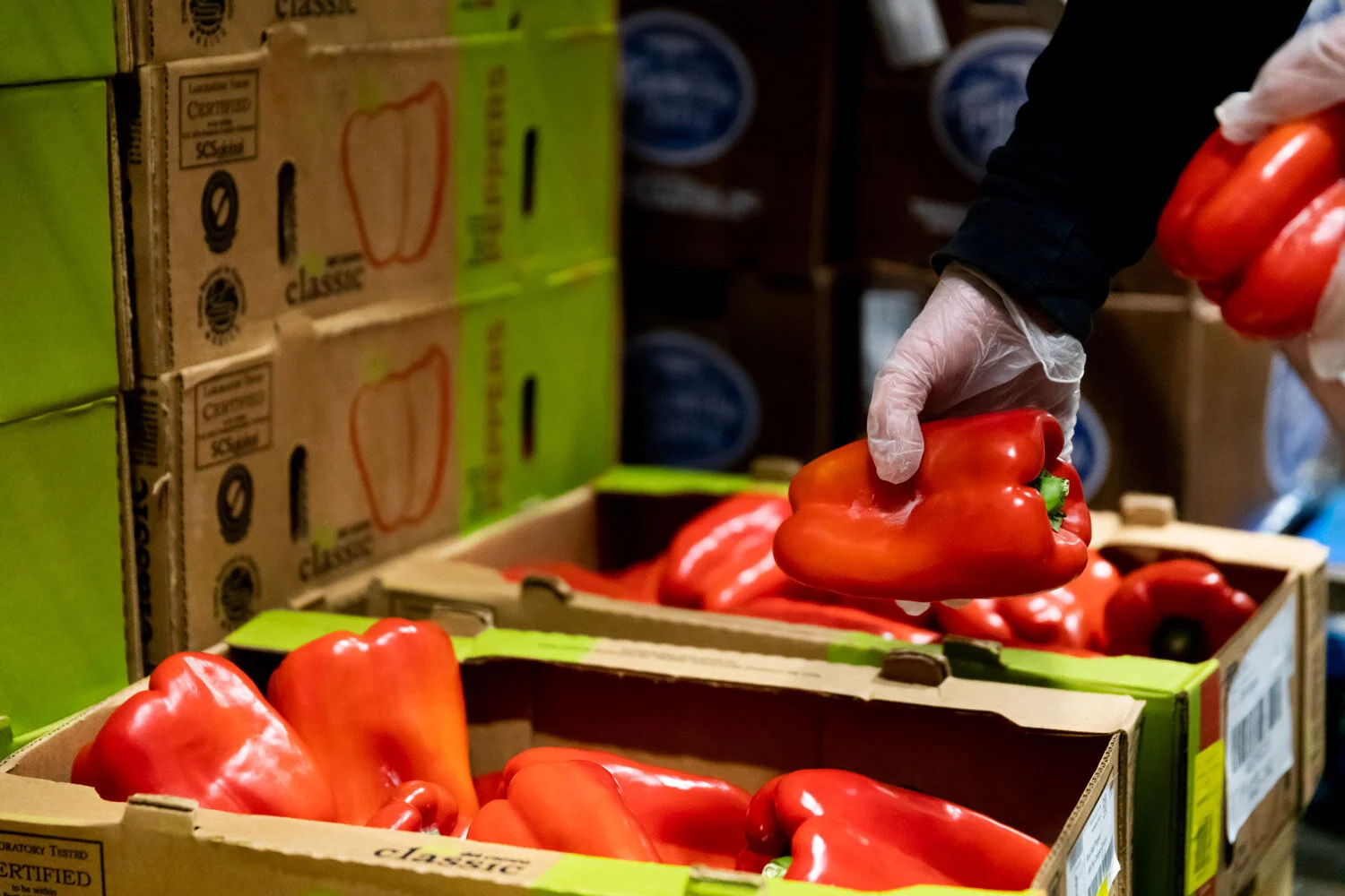 General 1 — Cavalier Produce