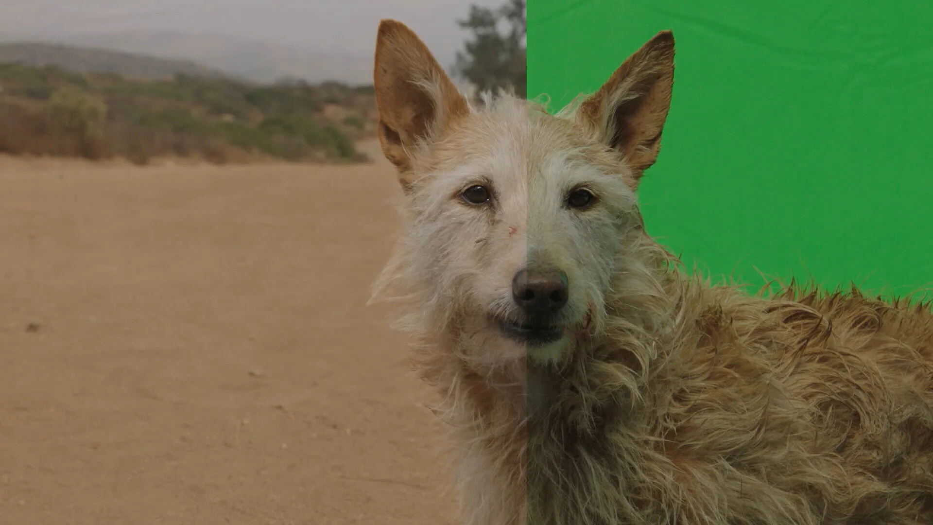 About Atlanta VFX — Atlanta VFX