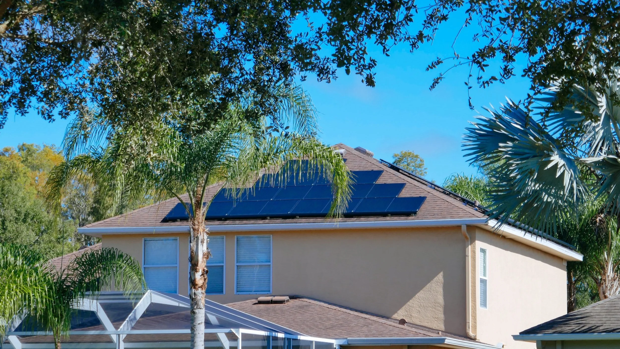 6 Clues for Identifying Young Trees That Will Cause Shade Over Time ...