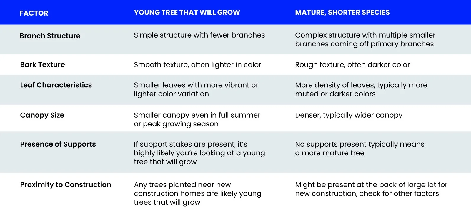 6 Clues for Identifying Young Trees That Will Cause Shade Over Time ...