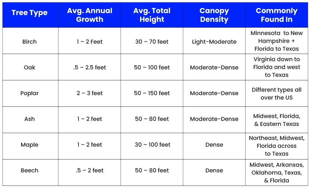 What Are Dormant Deciduous Trees And How Do They Impact Residential ...