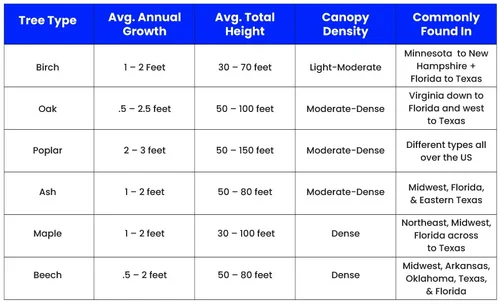 What Are Dormant Deciduous Trees And How Do They Impact Residential ...