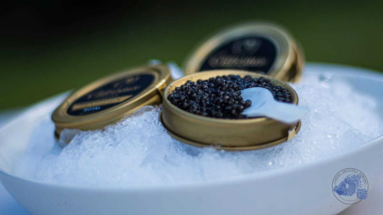 Momentos Alhambra Caviar Calvisius — Follow