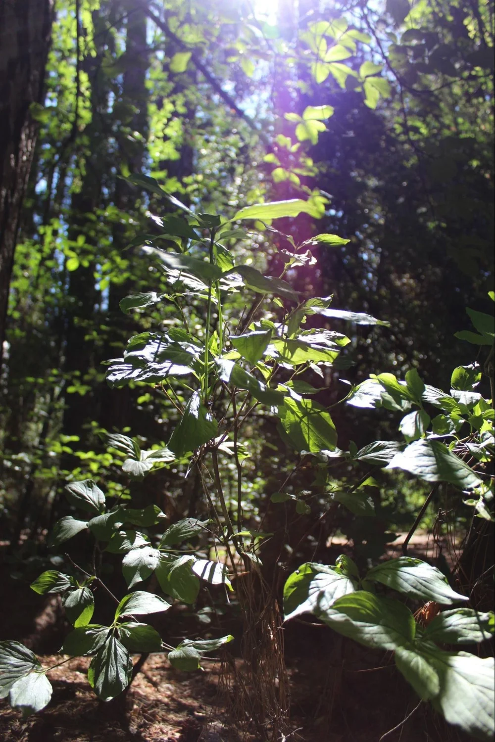 Selected Photos by Brynn Kan — Open Ceilings