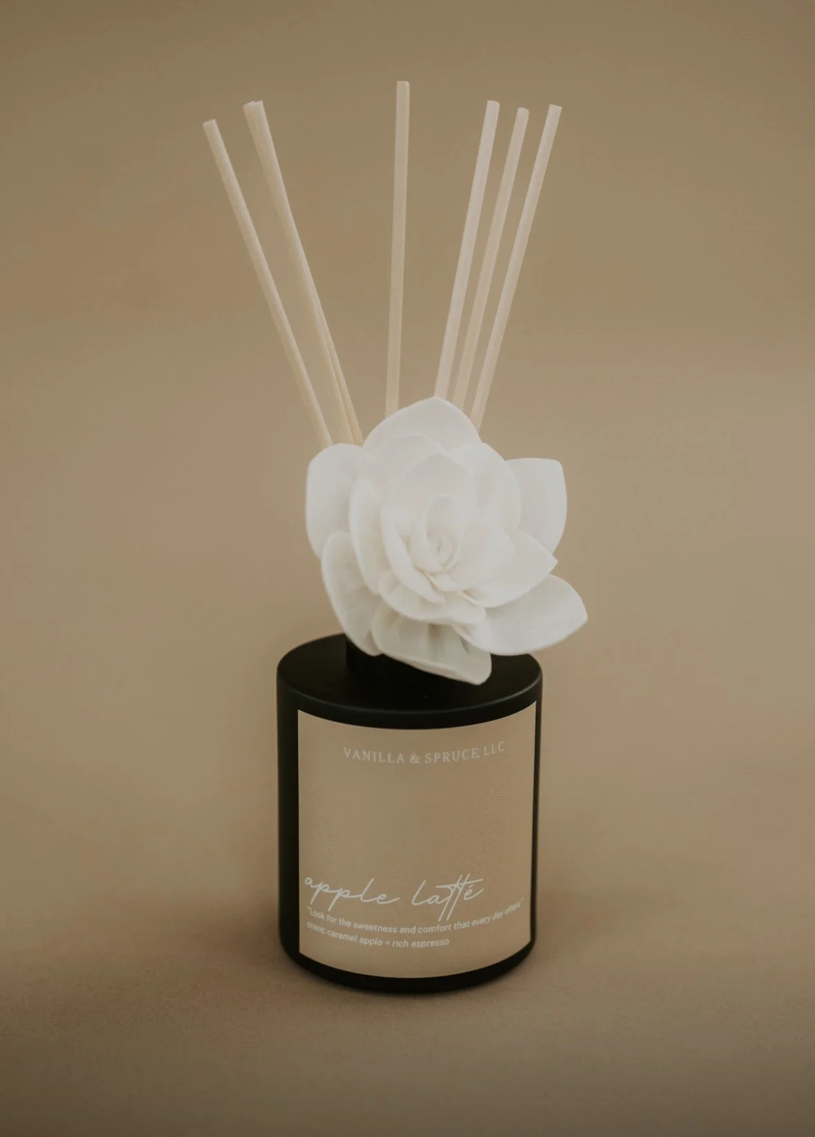 Vanilla + Spruce — Vanilla + Spruce