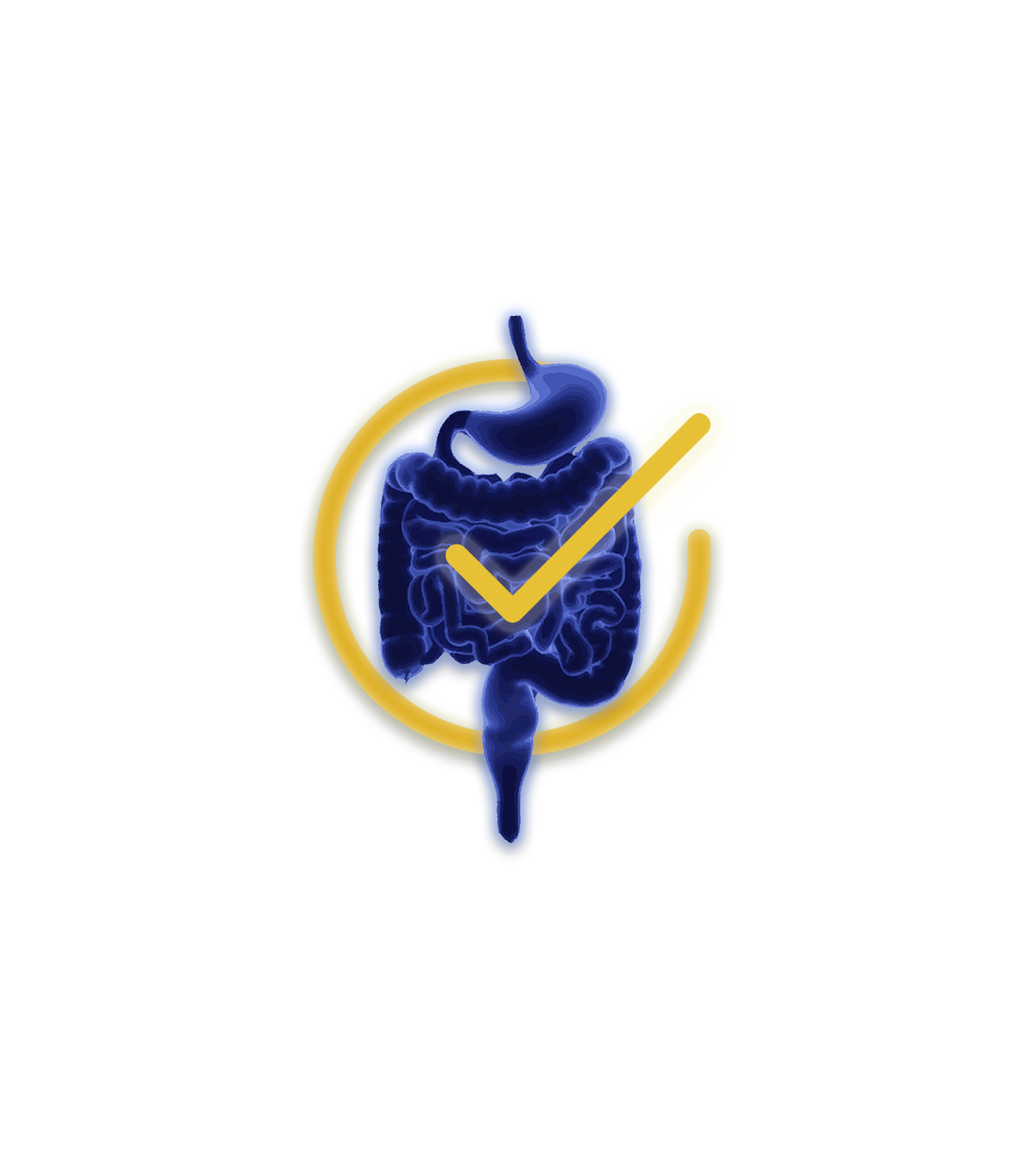 THE GUT CHECK THEORY