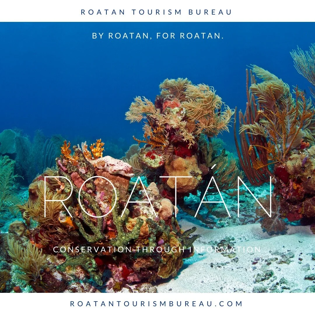 Roatan Tourism Bureau